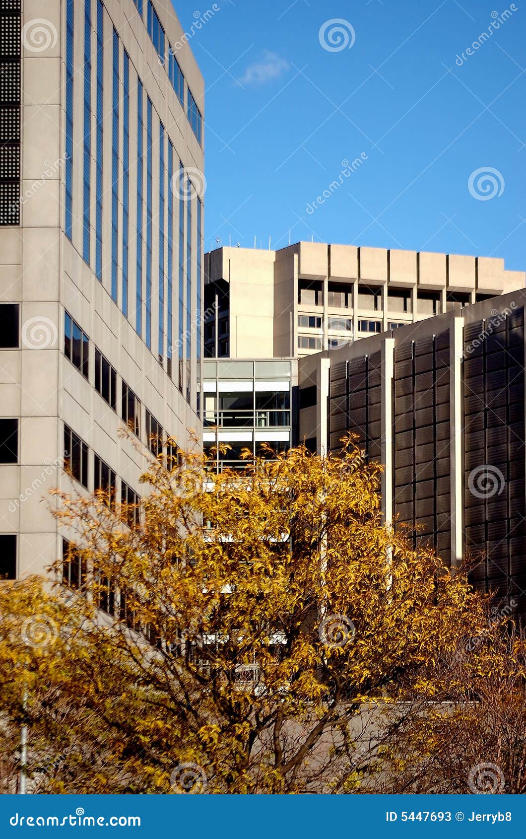 Detroit Buildings stock image. Image of offices, modern - 5447693