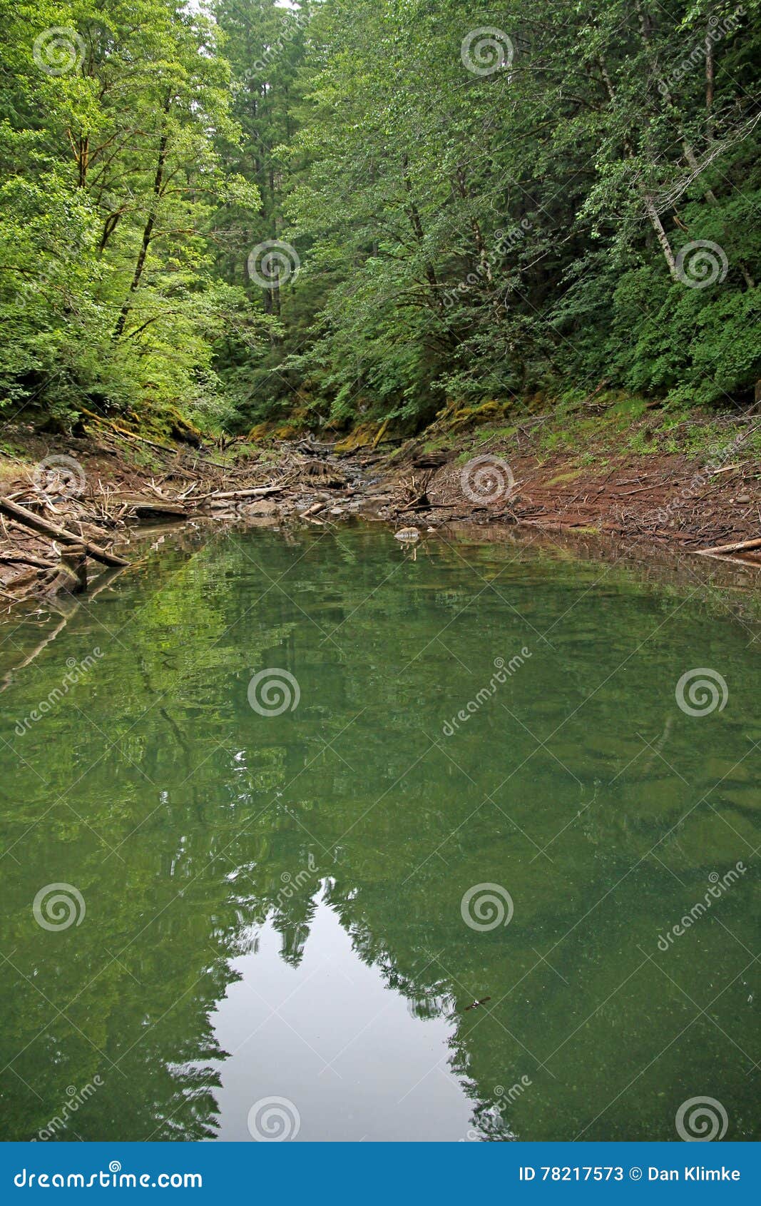 Detroit Lake stock image. Image of oregon, tranquil, detroit - 78217573