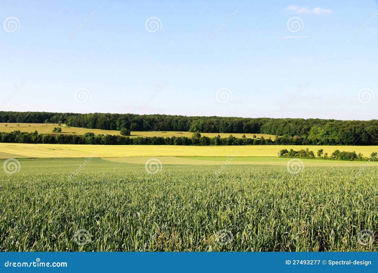 Deutsche Landschaft stockbild. Bild von wald, bewirtschaften - 27493277