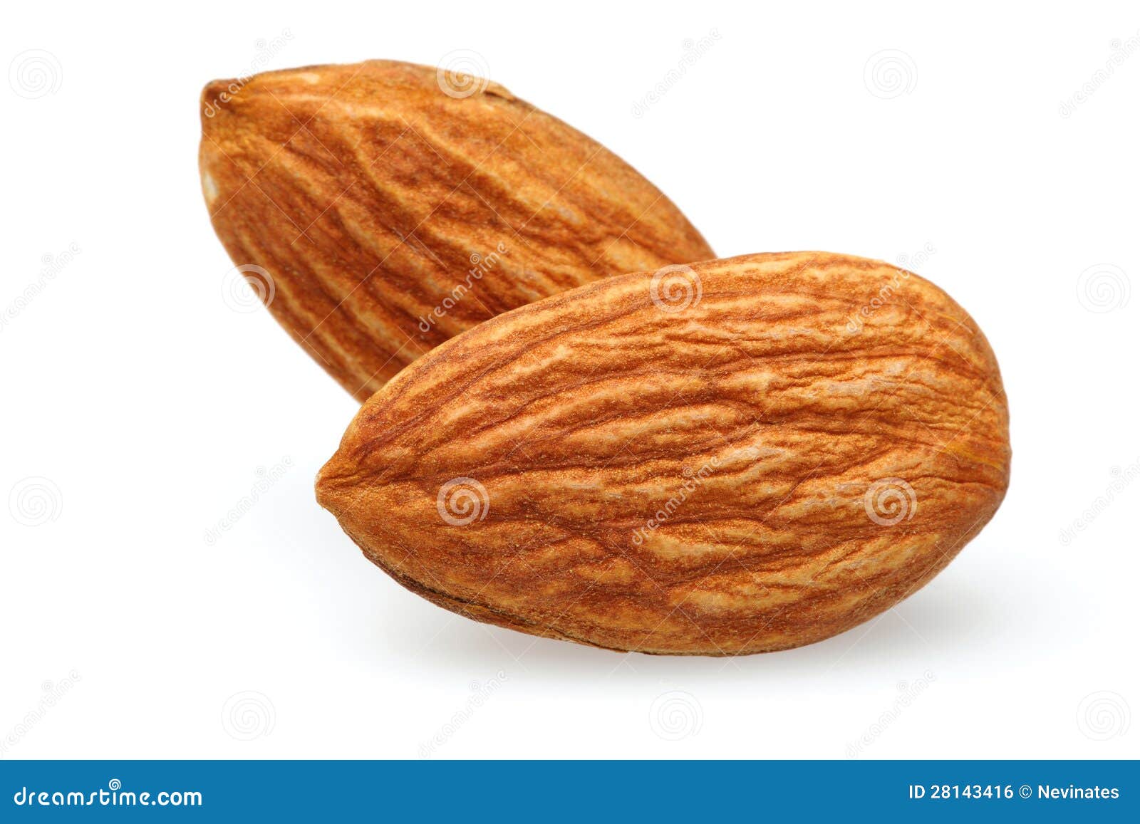 Deux amandes photo stock. Image du criqué, support, complètement - 28143416