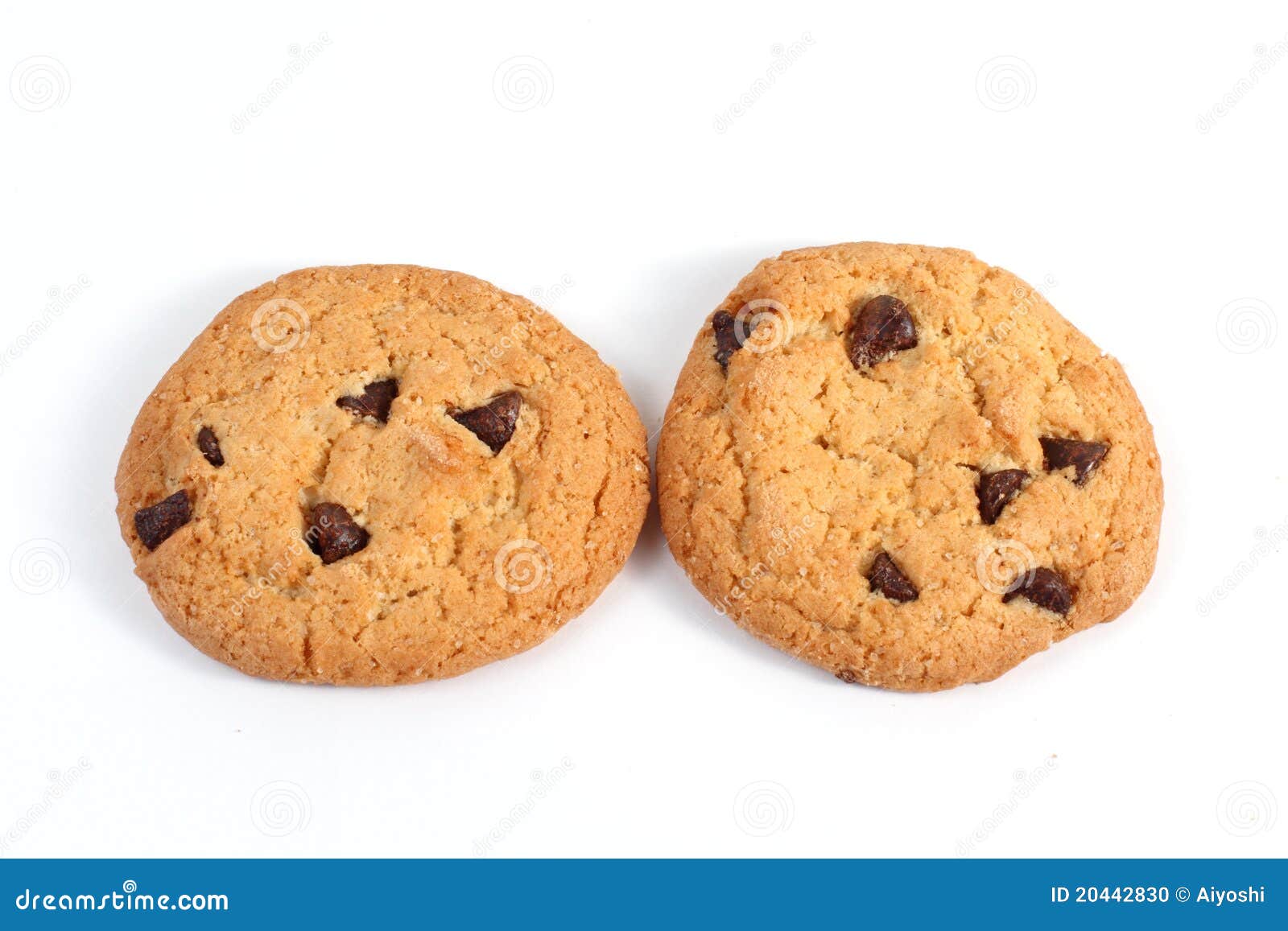 Deux biscuits photo stock. Image du biscuit, fond, blanc - 20442830