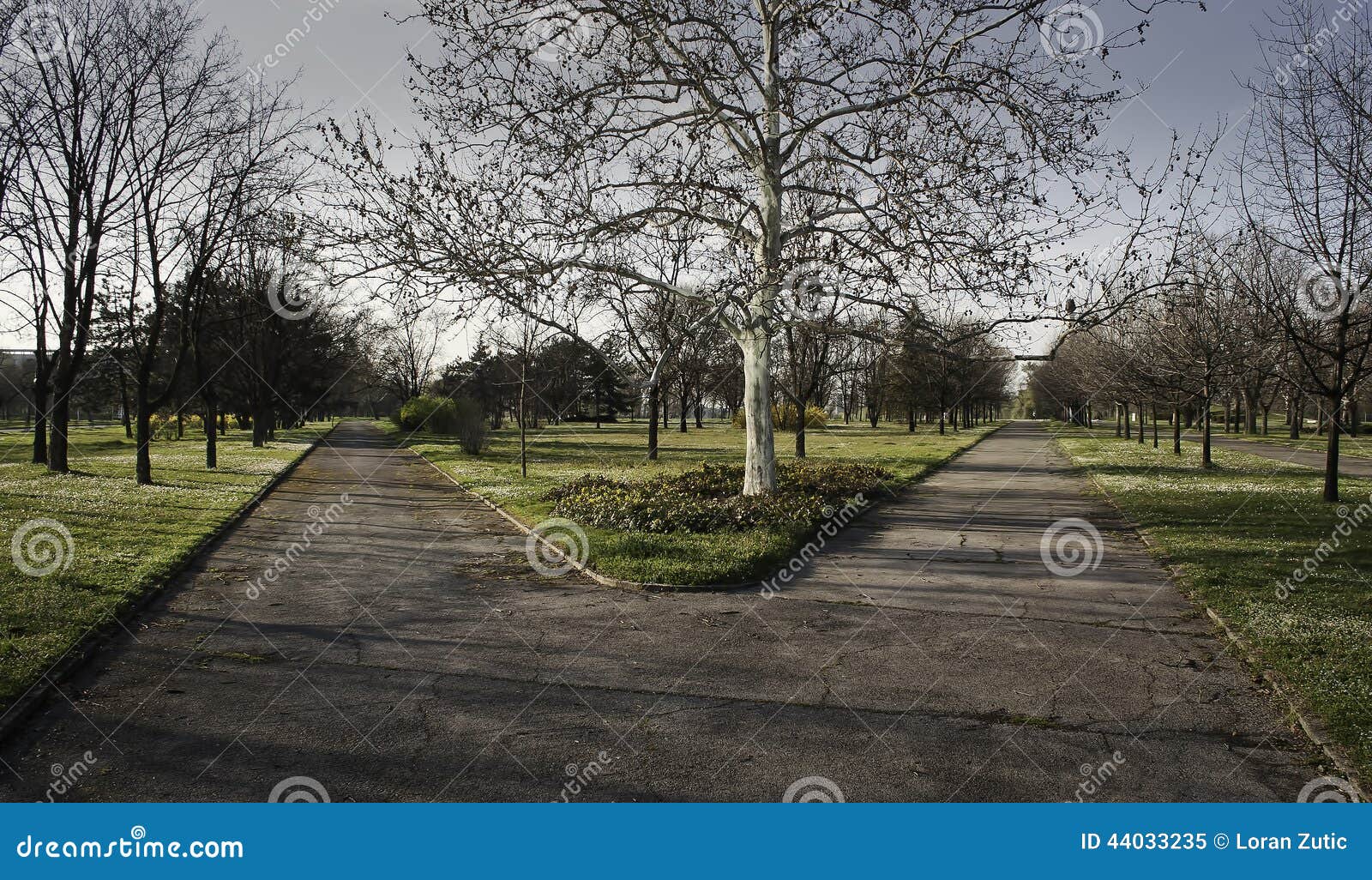 Deux Chemins Photos Stock - Téléchargez 1,893 Photos libres de droits