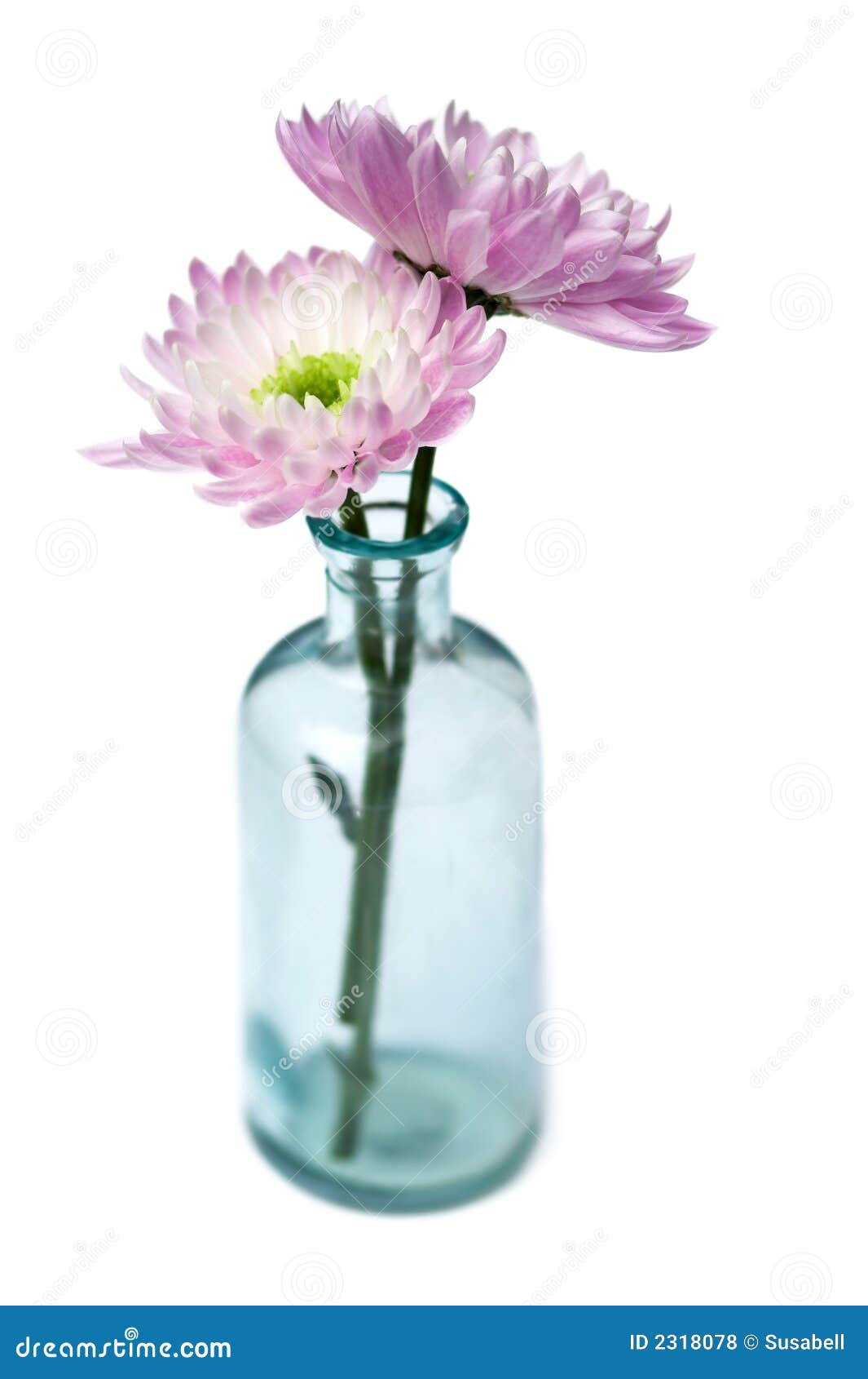 Deux Fleurs Dans Le Vase En Verre Photo stock - Image du fleurs, frais ...