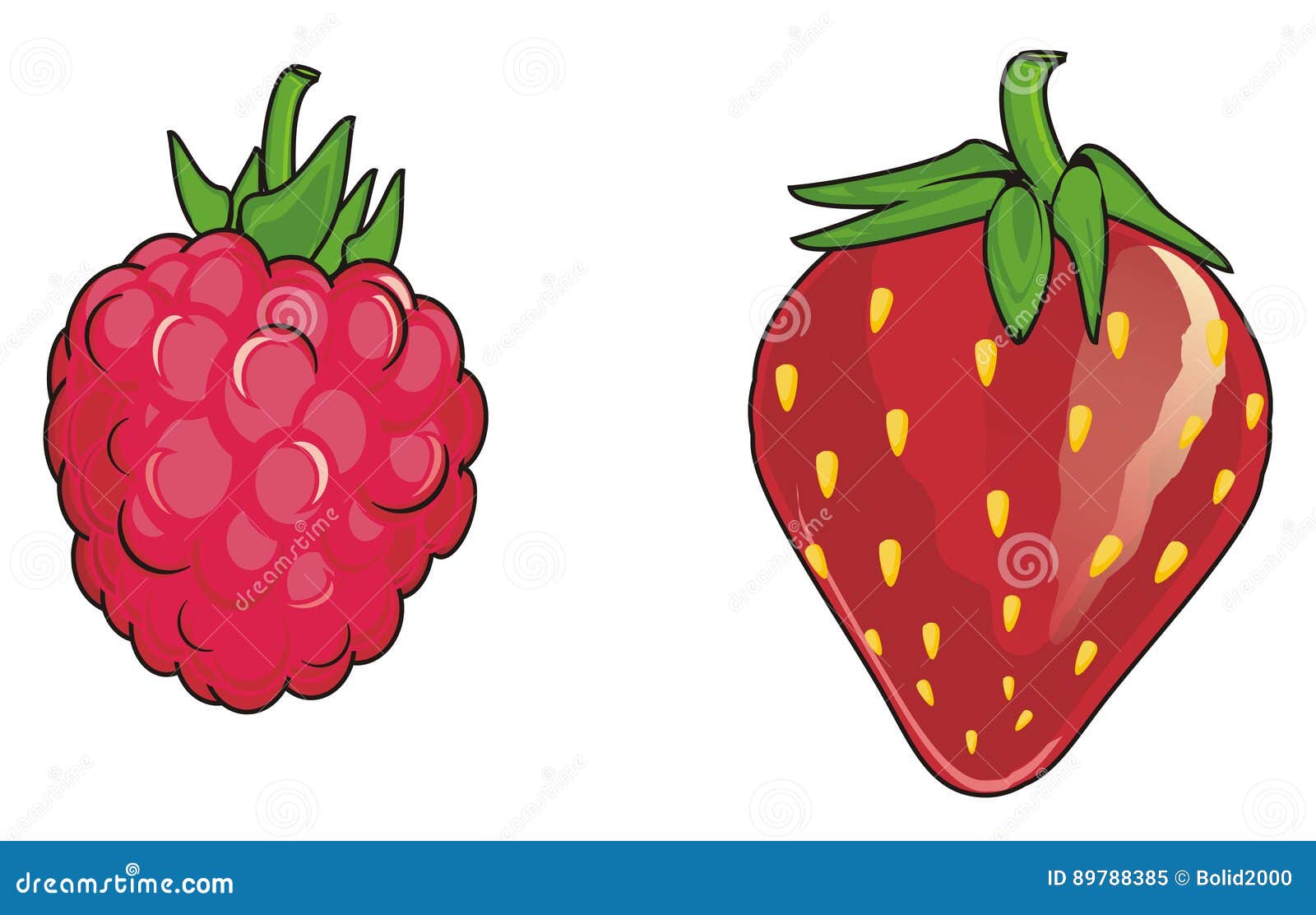 Deux fruits rouges illustration stock. Illustration du nourriture ...