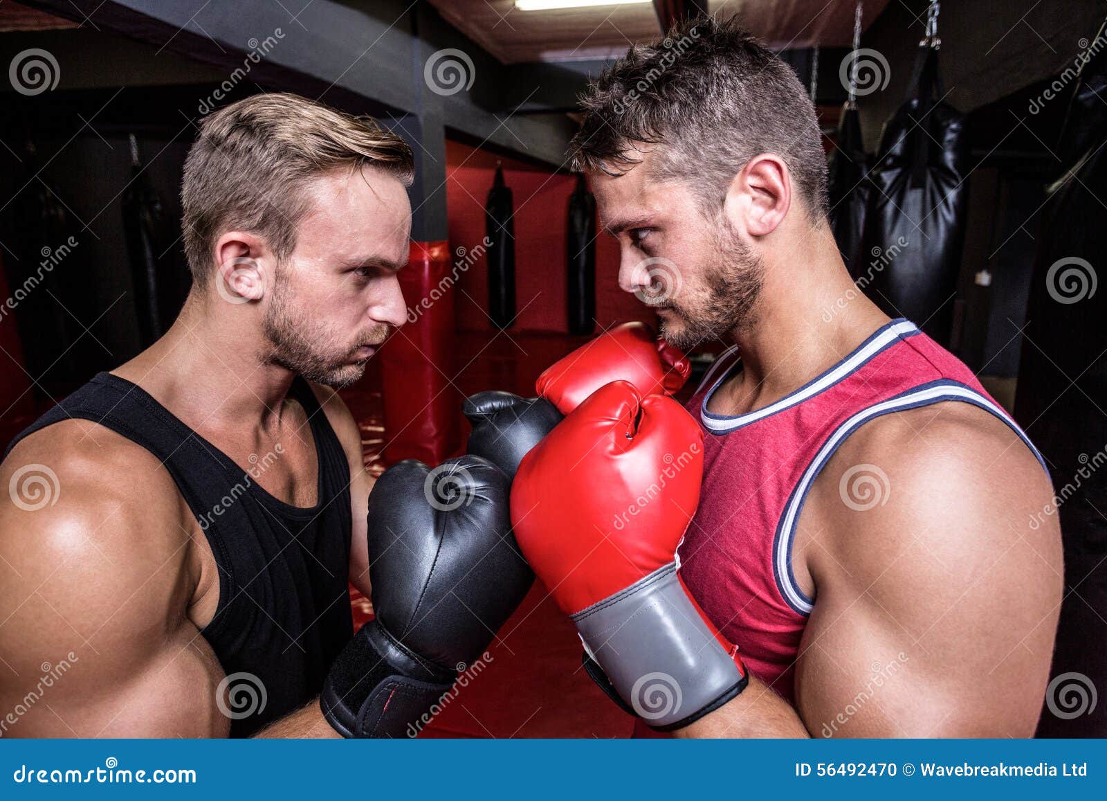 Deux Hommes De Boxe S'exerçant Ensemble Photo stock - Image du sportif ...