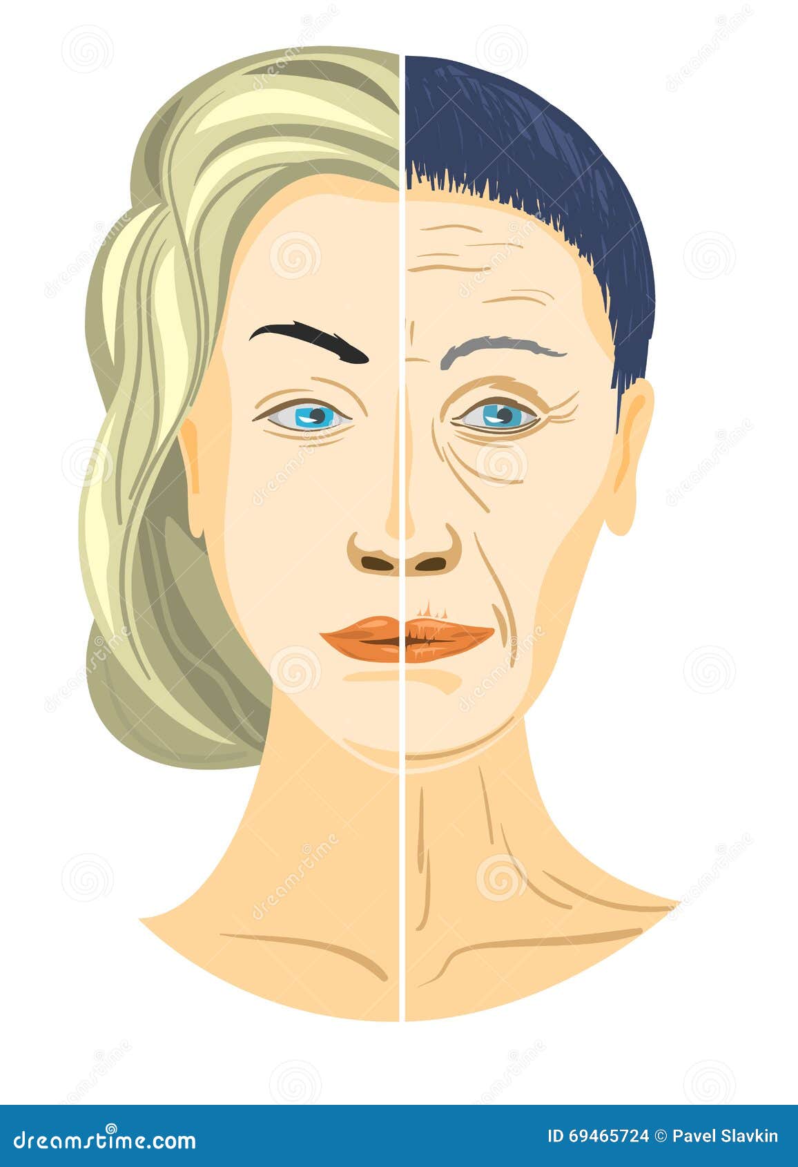 Deux parts de visage illustration de vecteur. Illustration du collagène ...