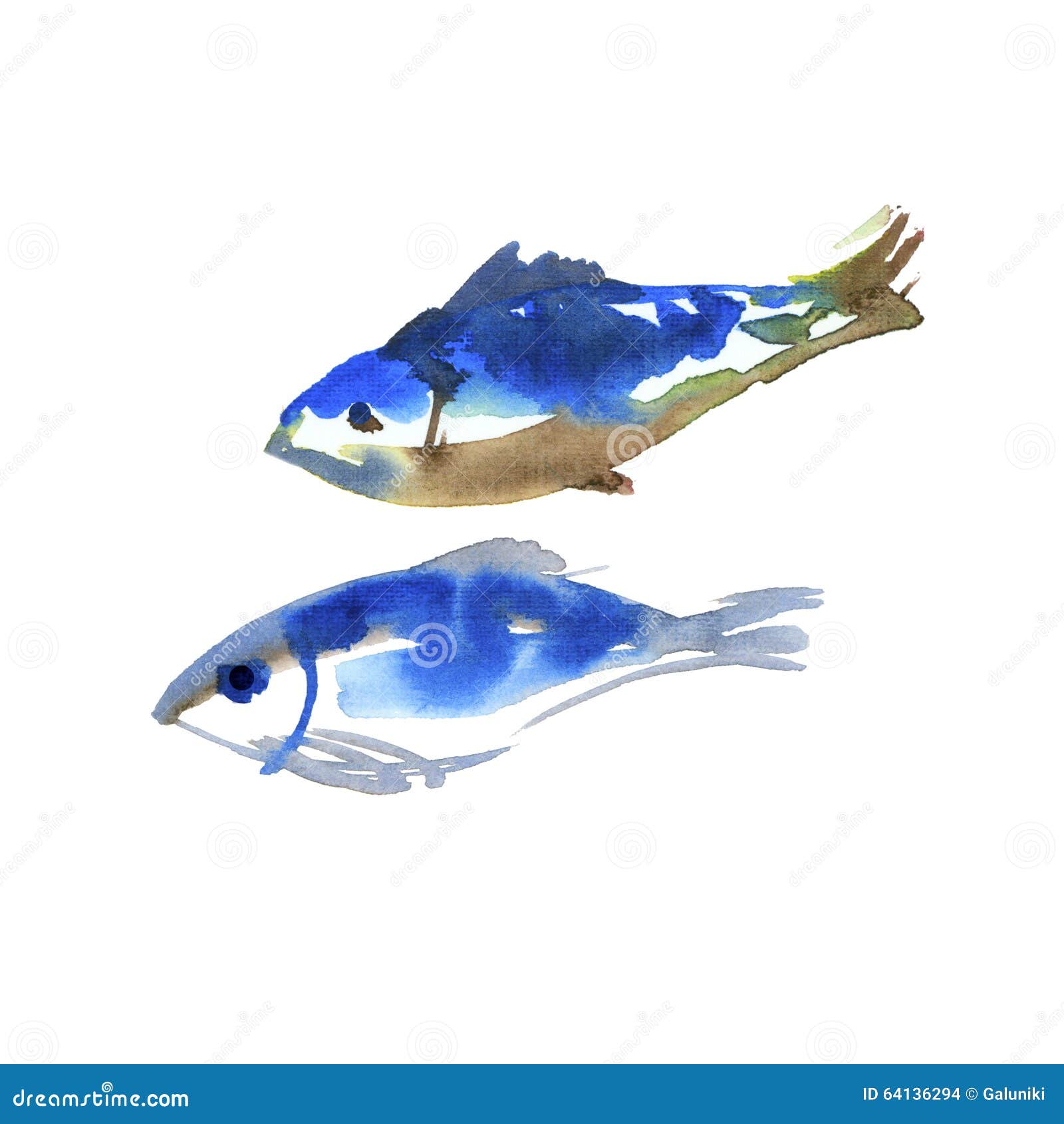 Deux poissons illustration stock. Illustration du vibrant - 64136294