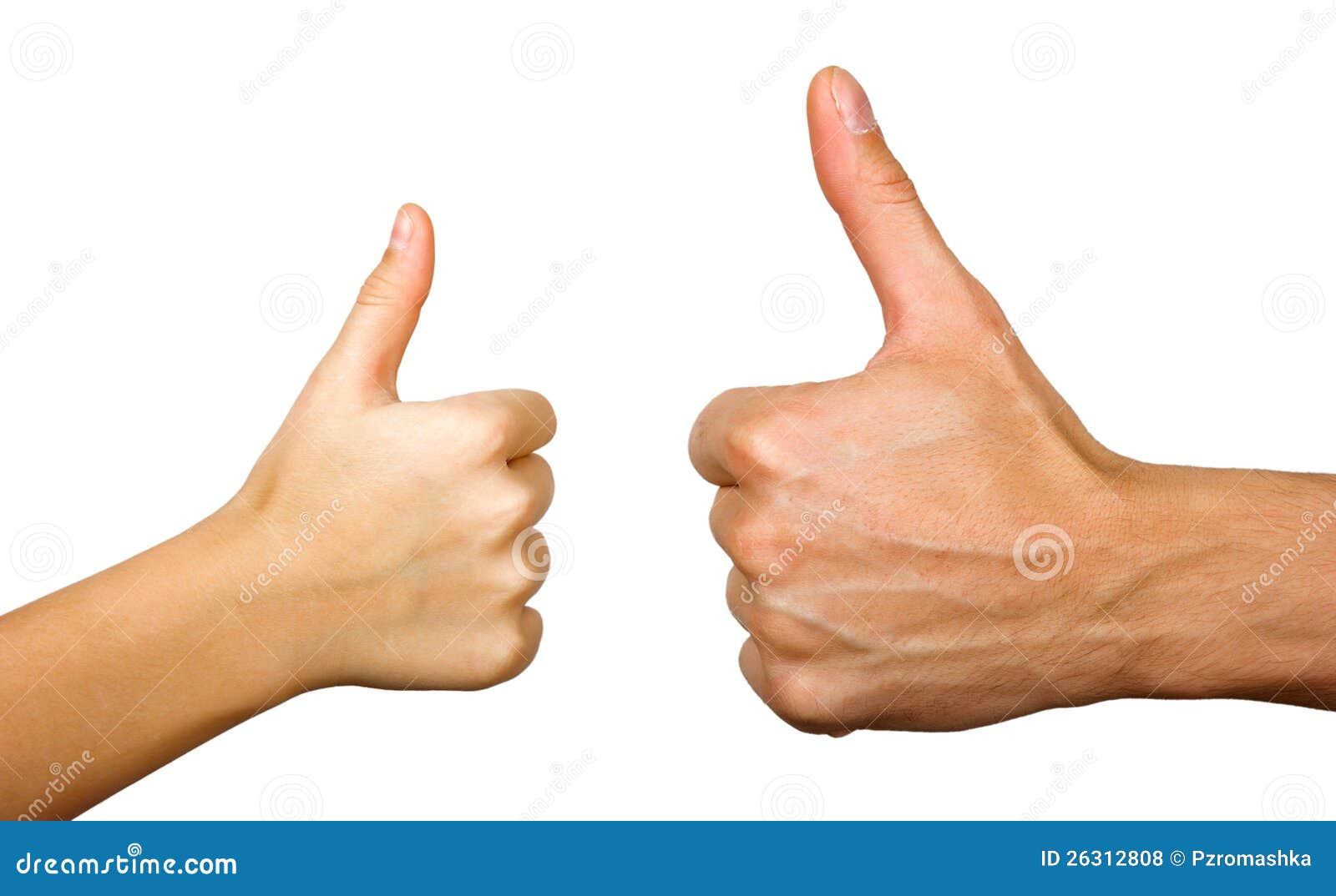 Deux pouces vers le haut photo stock. Image du masculin - 26312808 Deux pouces vers le haut photo stock. Image du masculin - 26312808