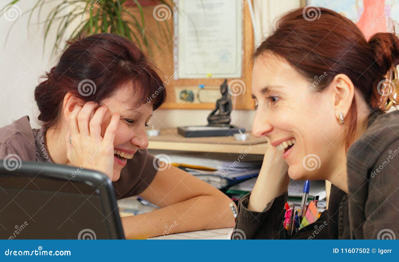 Deux professeurs photo stock. Image du caucasien, éducation - 11607502