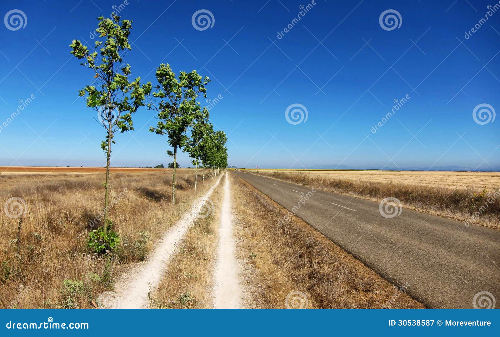Deux Routes, Une Destination Image stock - Image du parallèle, blé ...