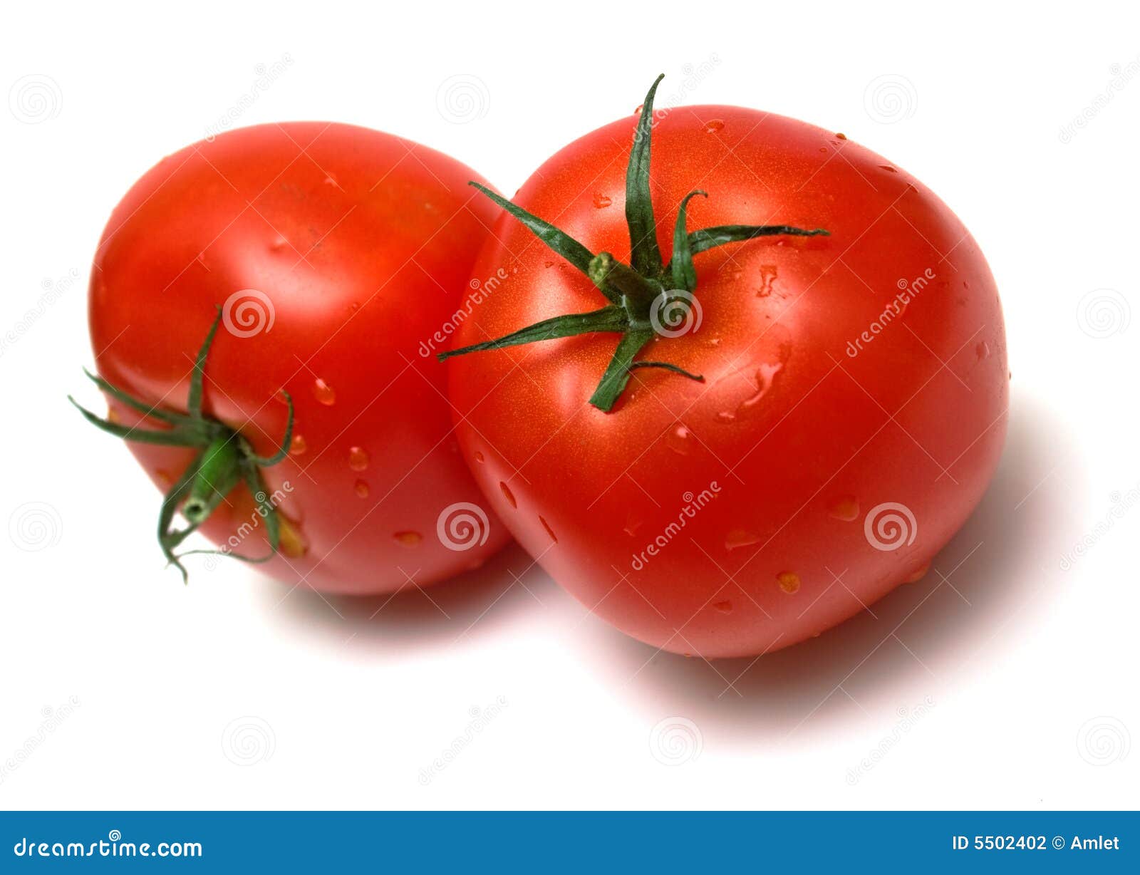 Deux Tomates Fraîches Juteuses 2 Photo stock - Image du normal ...