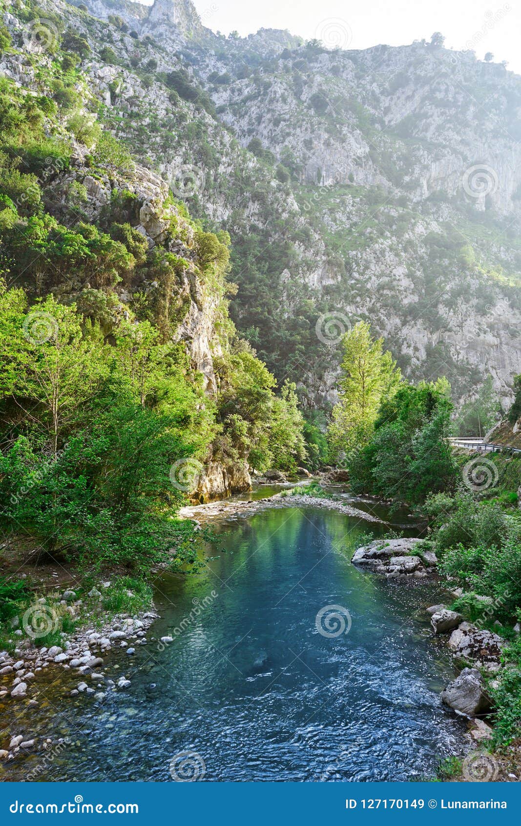 Deva River in Cantabria of Spain Stock Image - Image of green, forest ...
