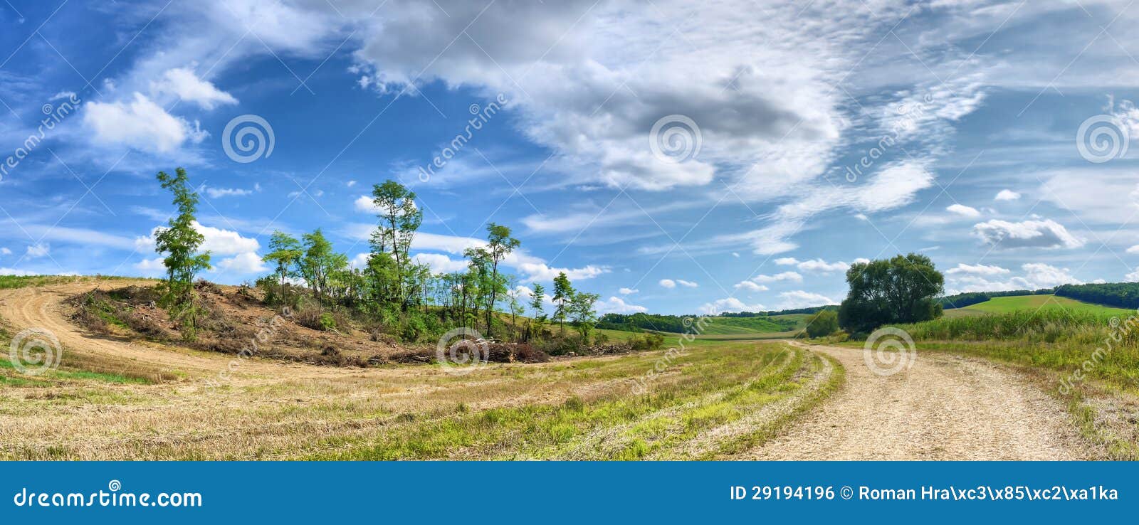 Devastated forest stock photo. Image of devastation, harvest - 29194196