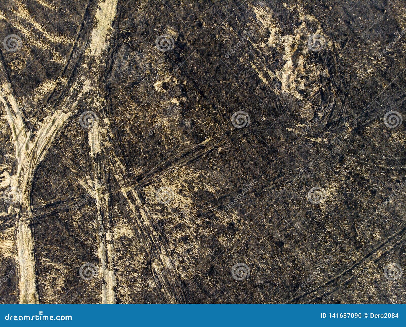 Devastated Land, after a Fire, Top View. Disaster and Emergency Events ...
