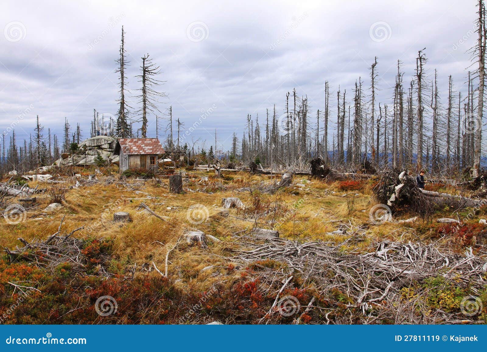 Devastated Landscape from Autumn Mountains Sumava Stock Image - Image ...