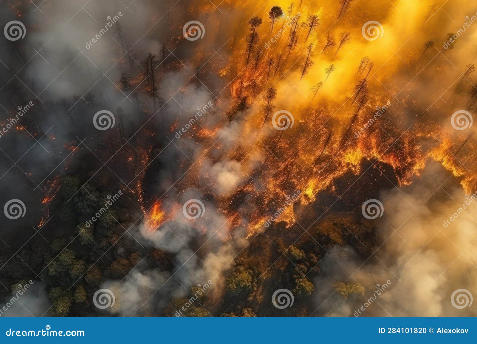 Devastating Forest Fire from Above Stock Illustration - Illustration of ...