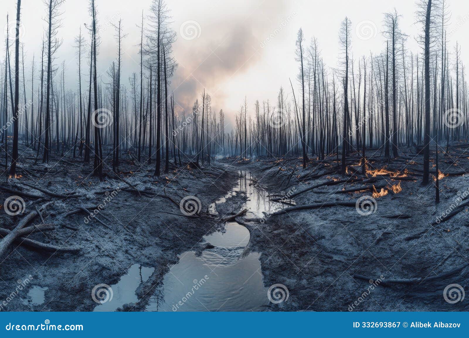 Devastating Forest Fire Aftermath - Burned Landscape with Smokey Sky ...