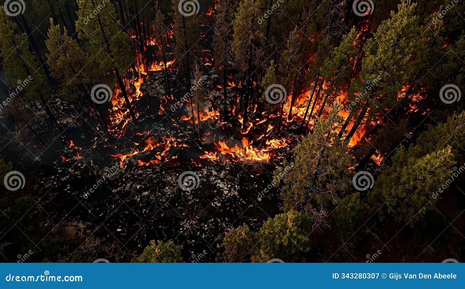 Devastating Forest Fire Causes Widespread Destruction And Environmental ...