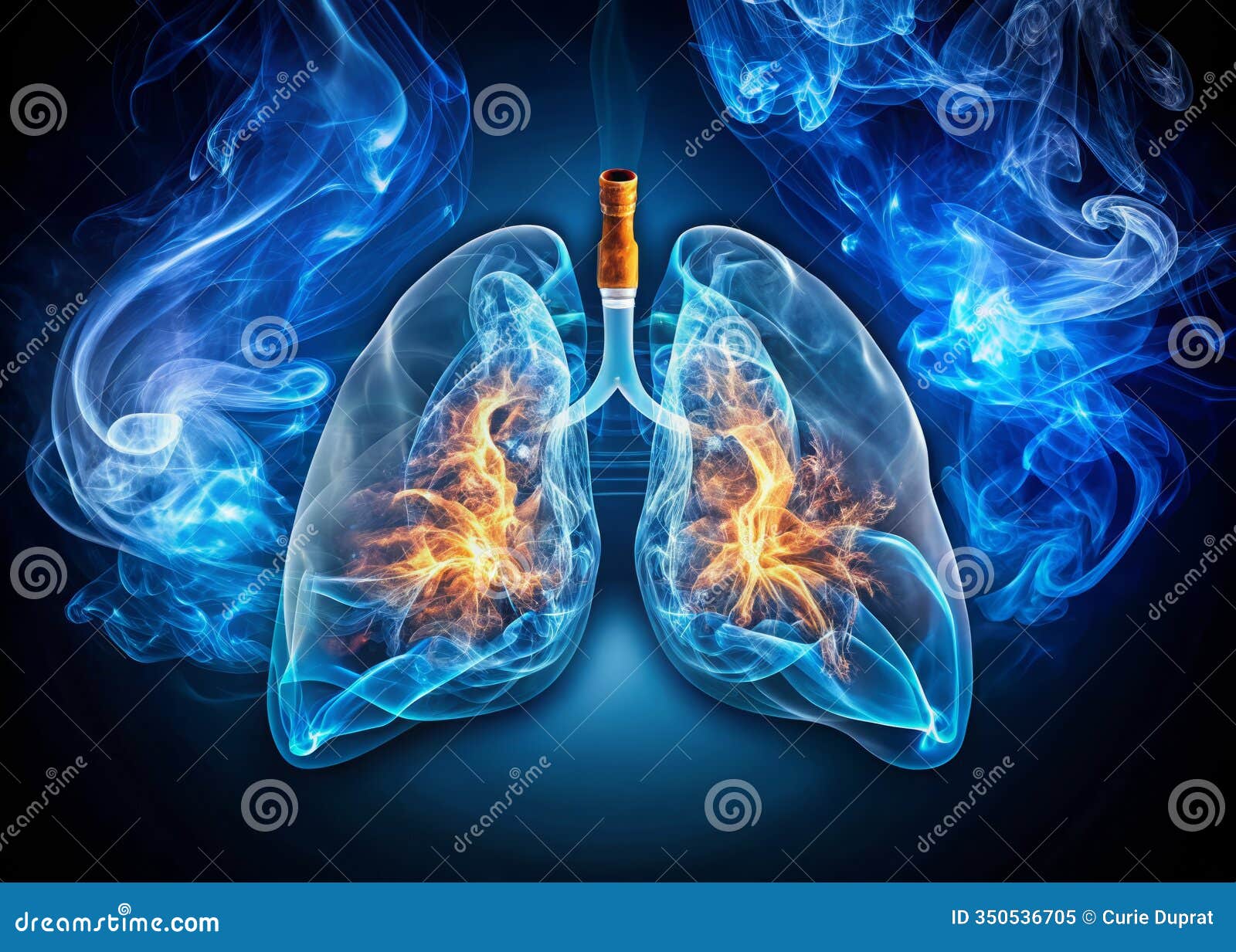 The Devastating Impact of Cigarette Smoke on Lungs a Powerful Visual of ...