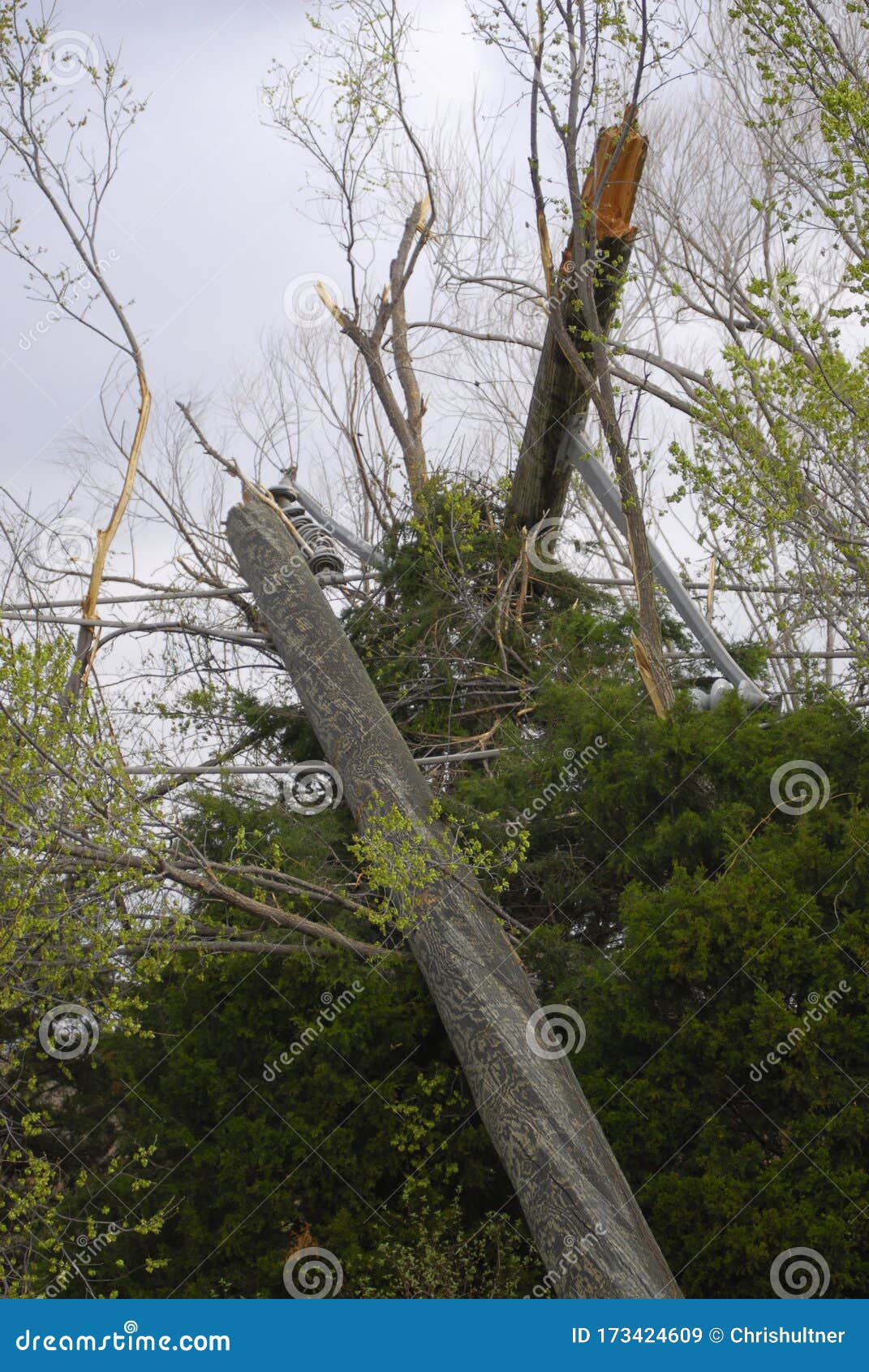 Tornado Damage from Spring Thunder Storms Editorial Stock Image - Image ...