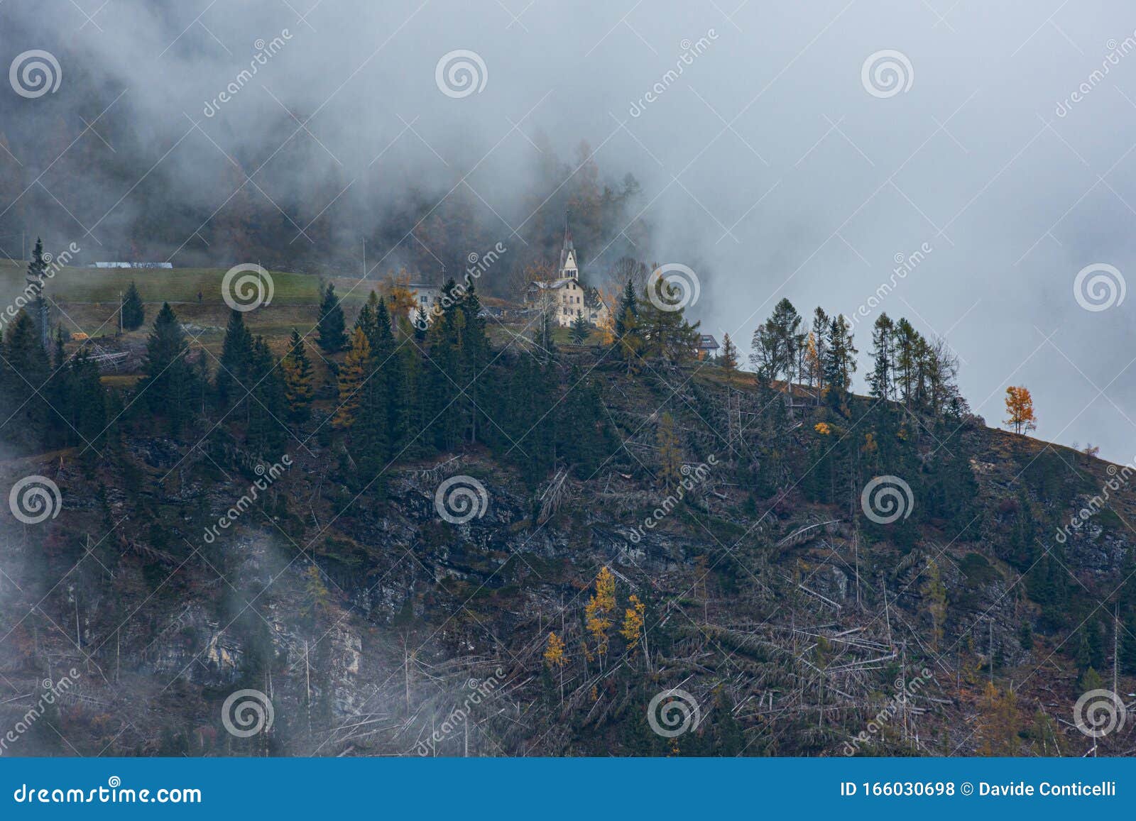 The Devastation Caused by the Vaia Storm in October 2018, in the ...