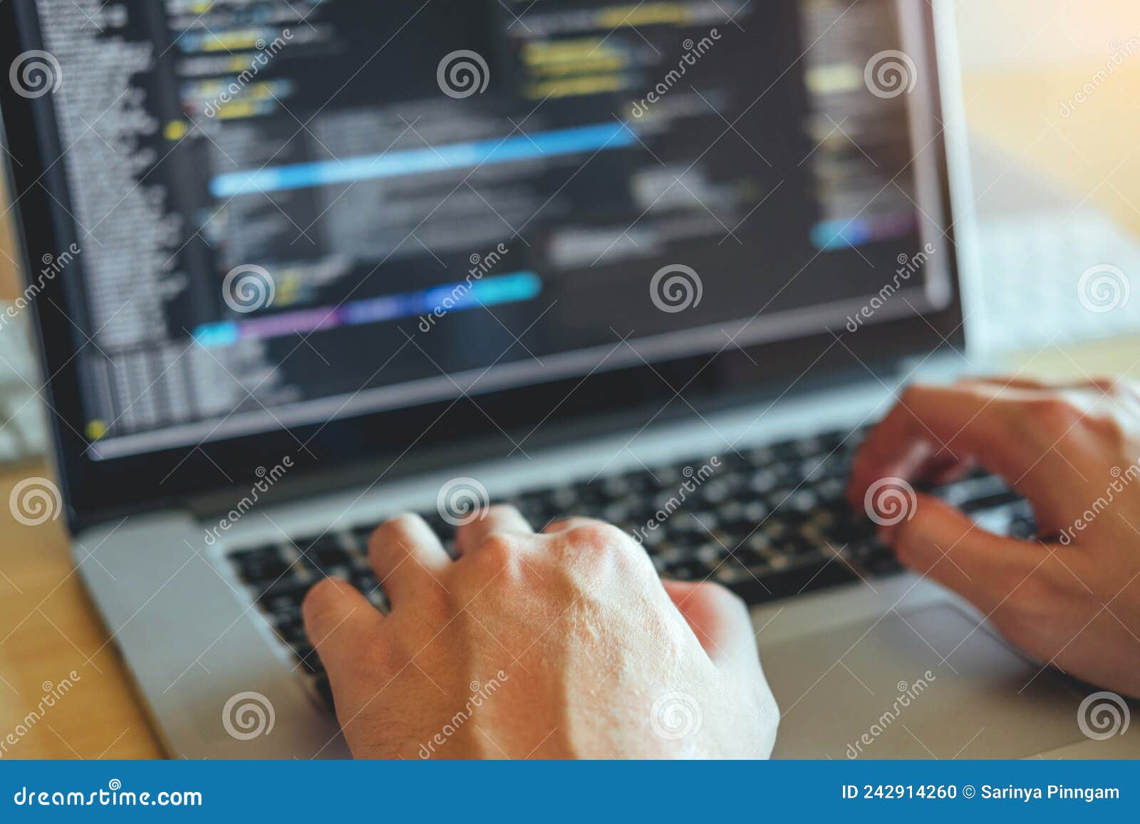 Developing Programmer Development Website Design and Coding ...