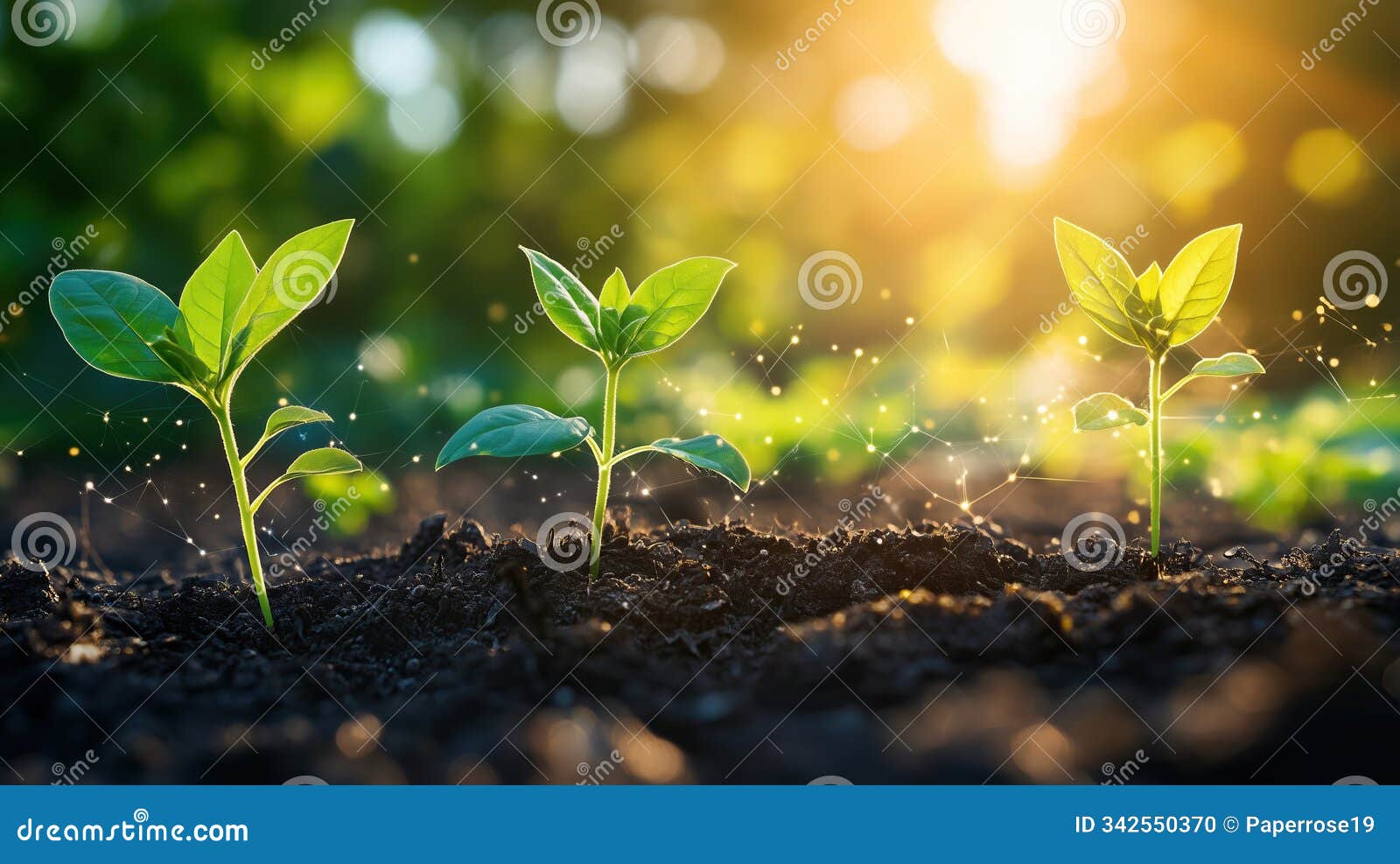 Developing Sustainable Development Goals for the Environment Stock ... Developing Sustainable Development Goals for the Environment Stock ...