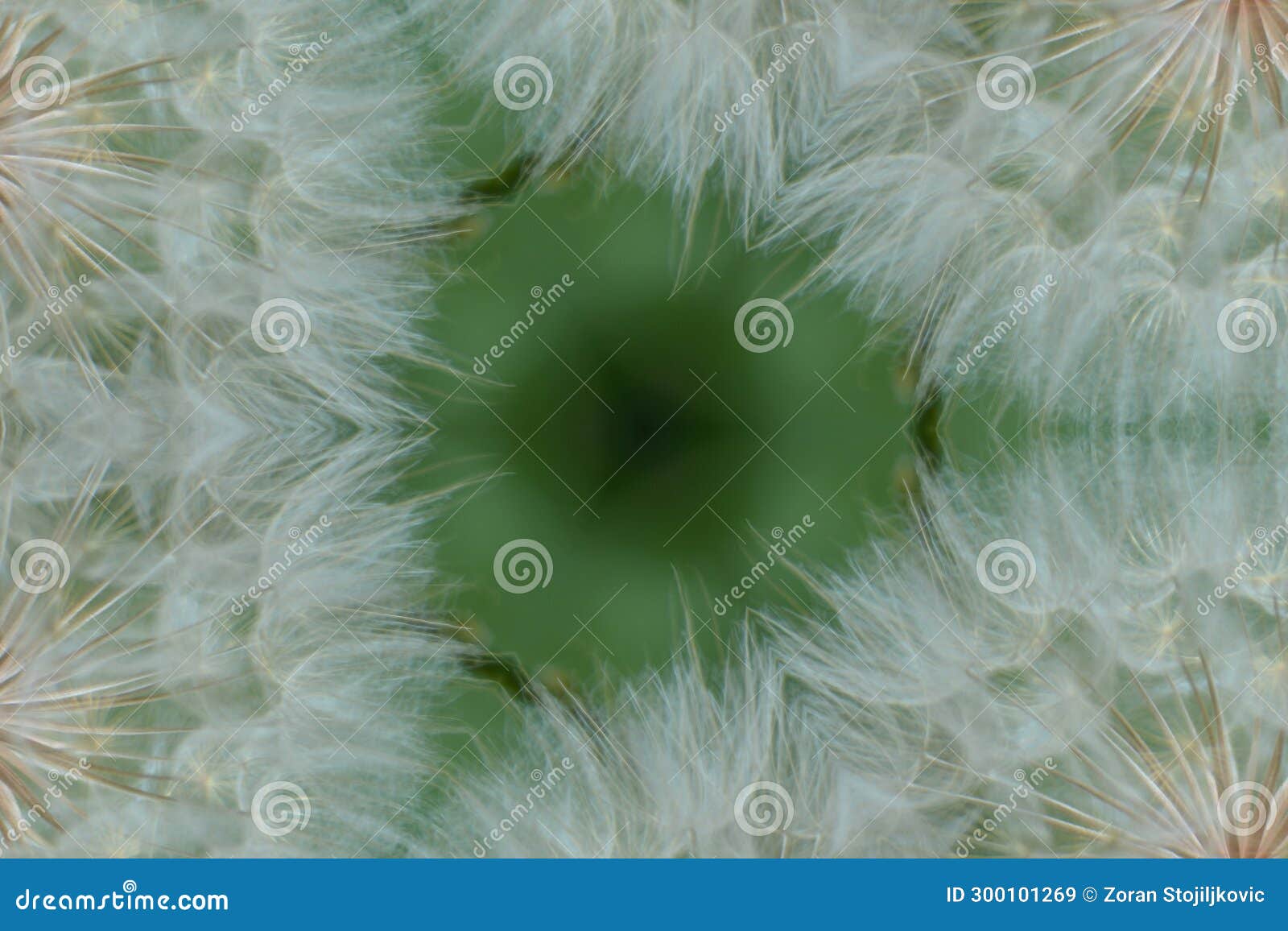 Digitally processed photo stock image. Image of editing - 300101269