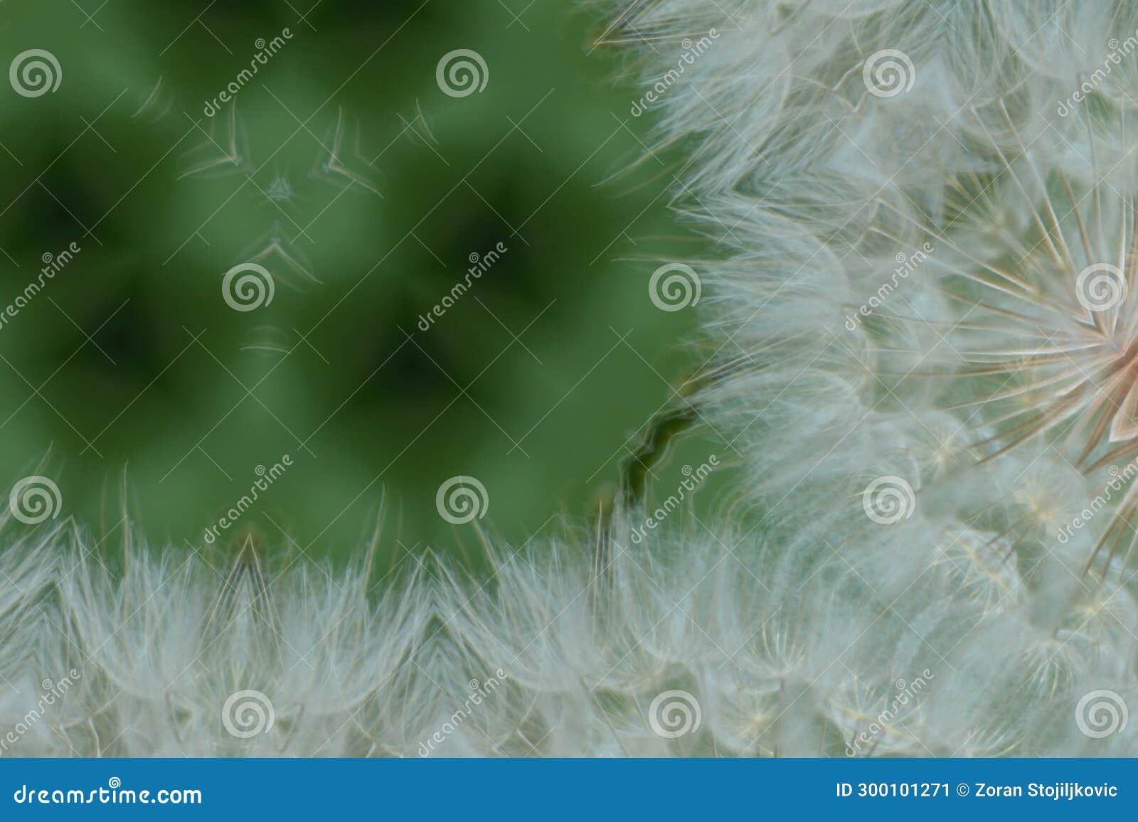 Digitally processed photo stock image. Image of editing - 300101271