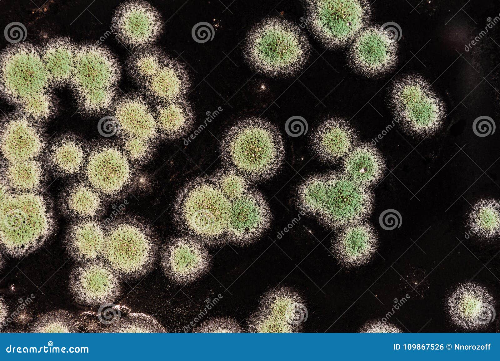 Development of Green Mold on an Organic Basis, Abstract Background ...