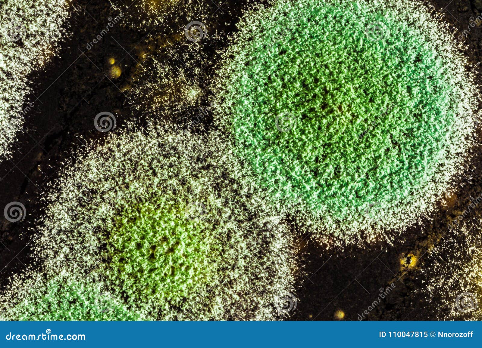 Development of Green Mold on an Organic Basis, Abstract Background ...