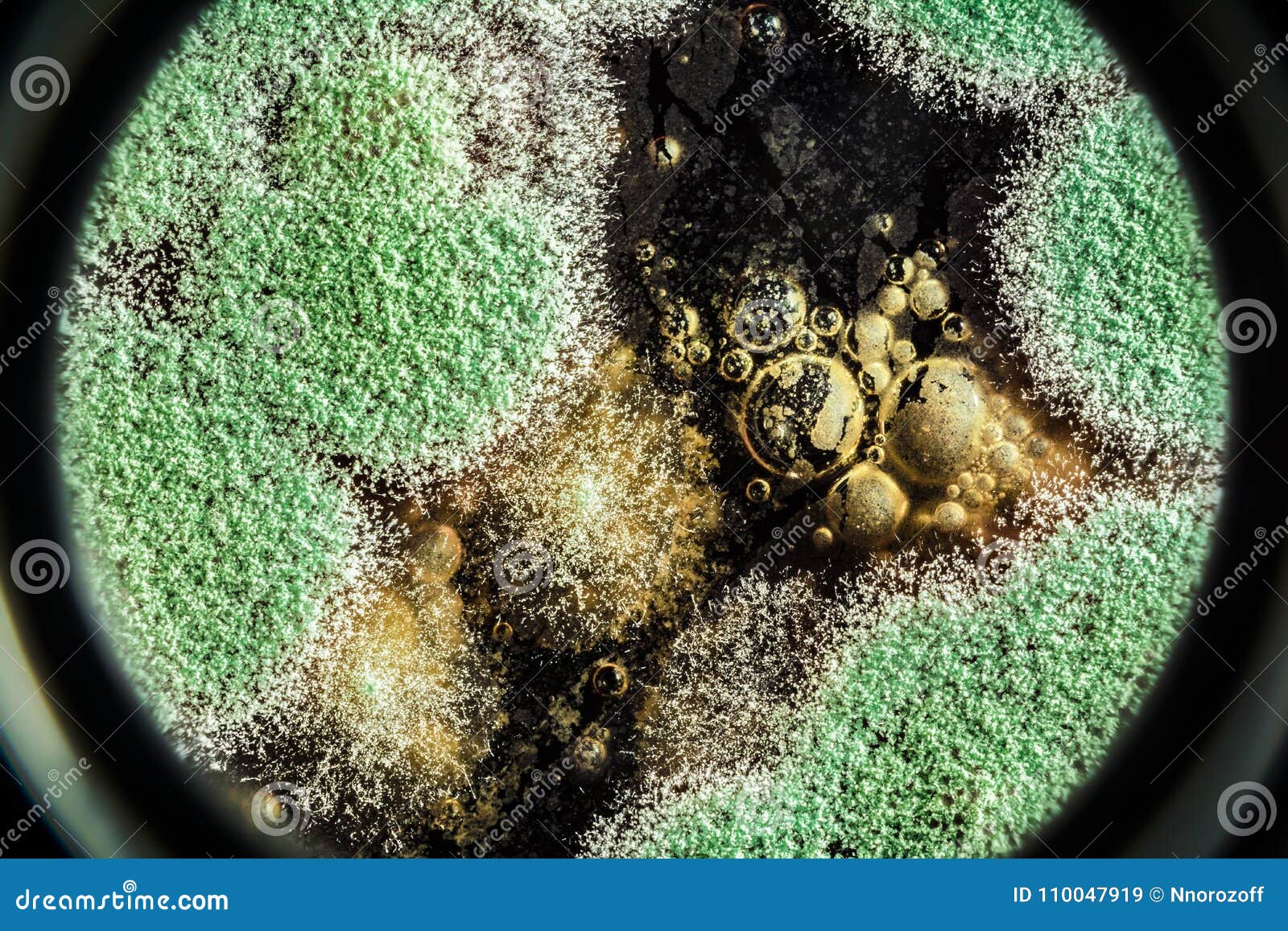 Development of Green Mold on an Organic Basis, Abstract Background ...