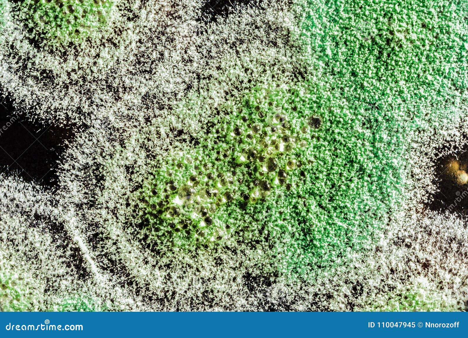 Development of Green Mold on an Organic Basis, Abstract Background ...
