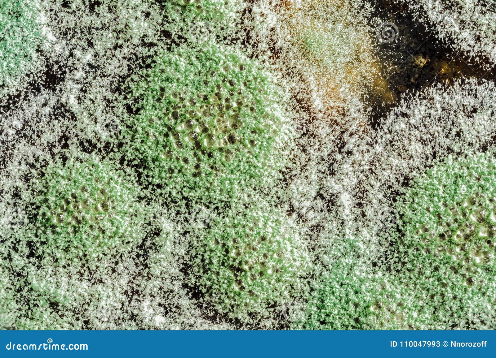 Development of Green Mold on an Organic Basis, Abstract Background ...