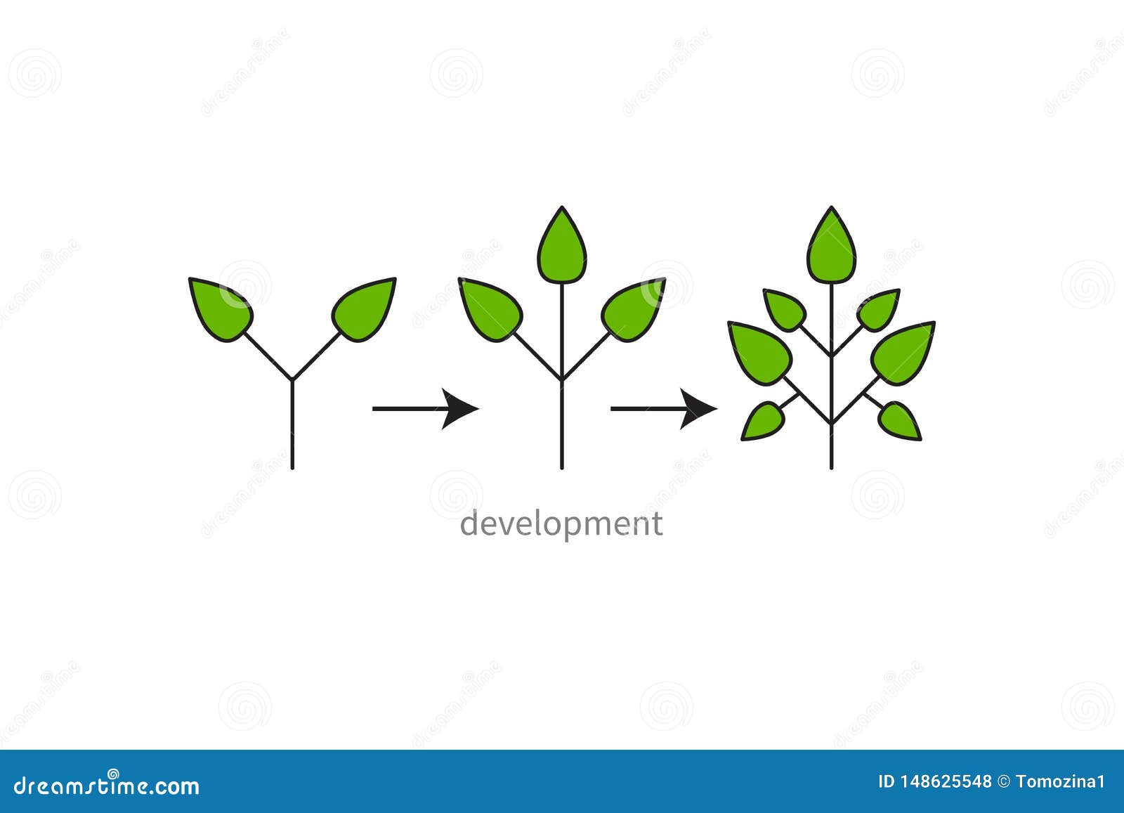 Development, Growth, Evolution Icon Stock Vector - Illustration of ...