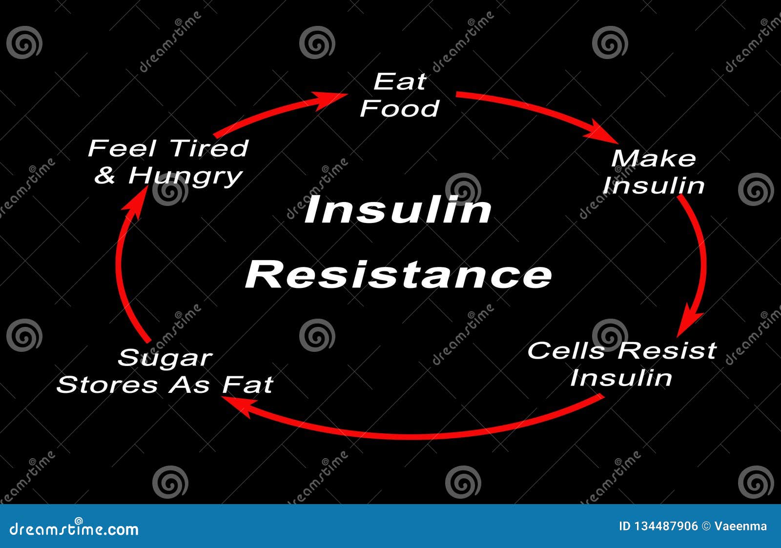 Development of Insulin Resistance Stock Illustration - Illustration of ...