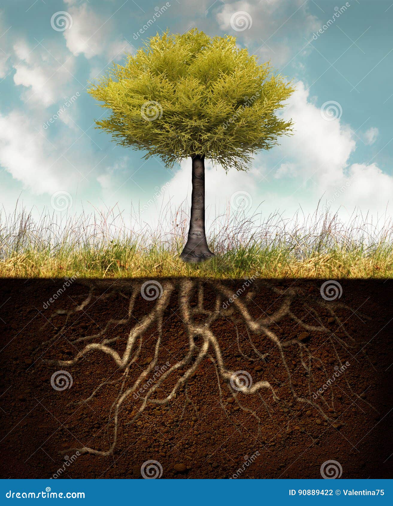 Development of life stock illustration. Illustration of detail - 90889422