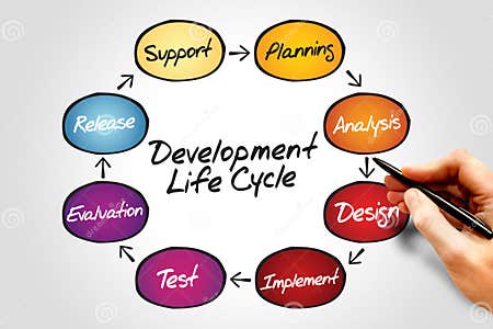 Development life cycle stock photo. Image of assurance - 56434910