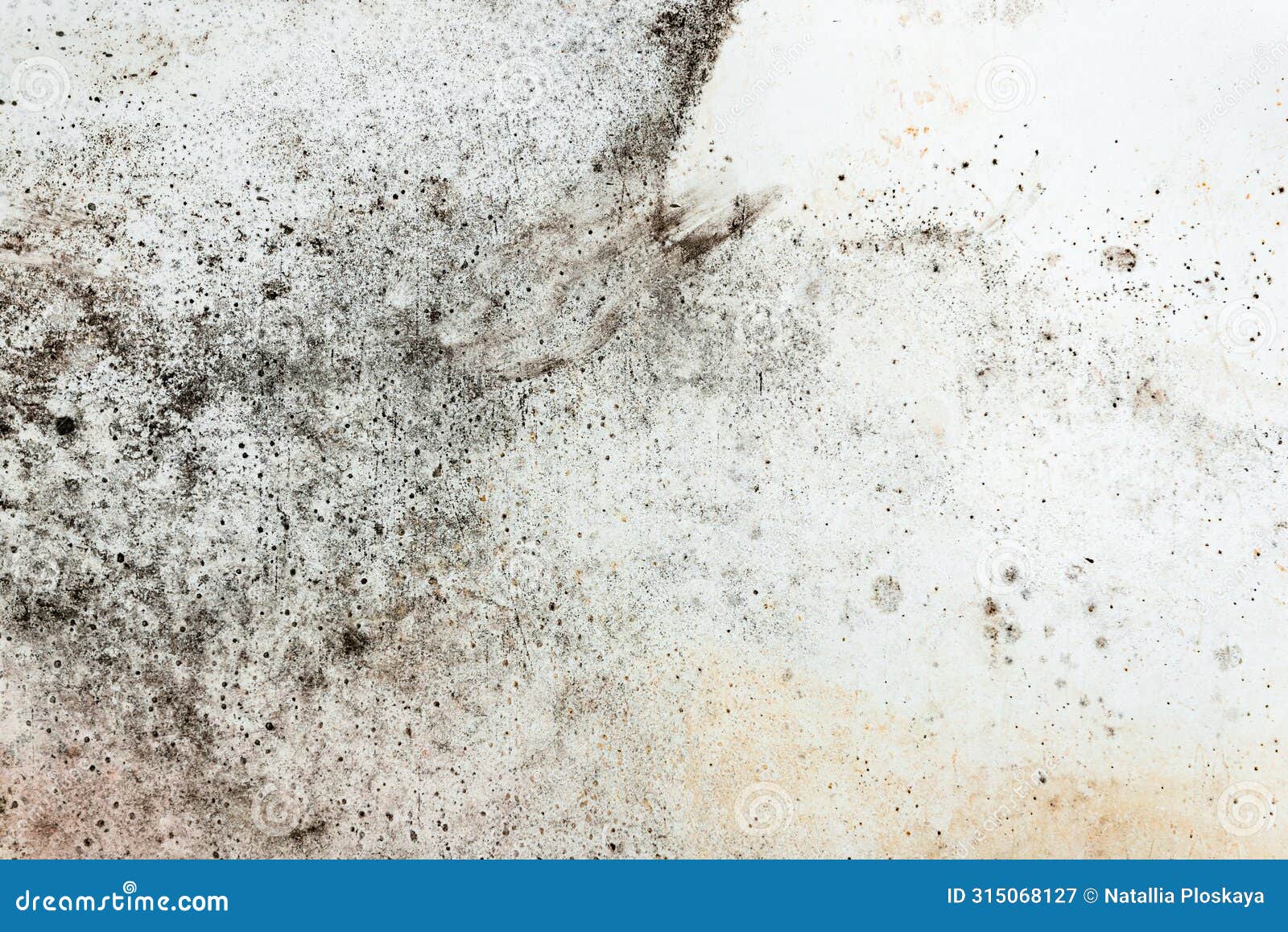 Development of Mildew Under Wallpaper in Corner of Old House. Stock ...