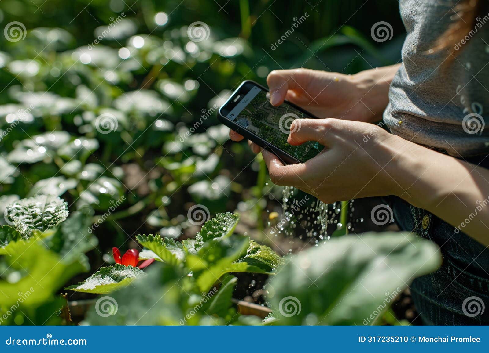 Development of a Mobile App To Control Digital Irrigation Systems for ... Development of a Mobile App To Control Digital Irrigation Systems for ...