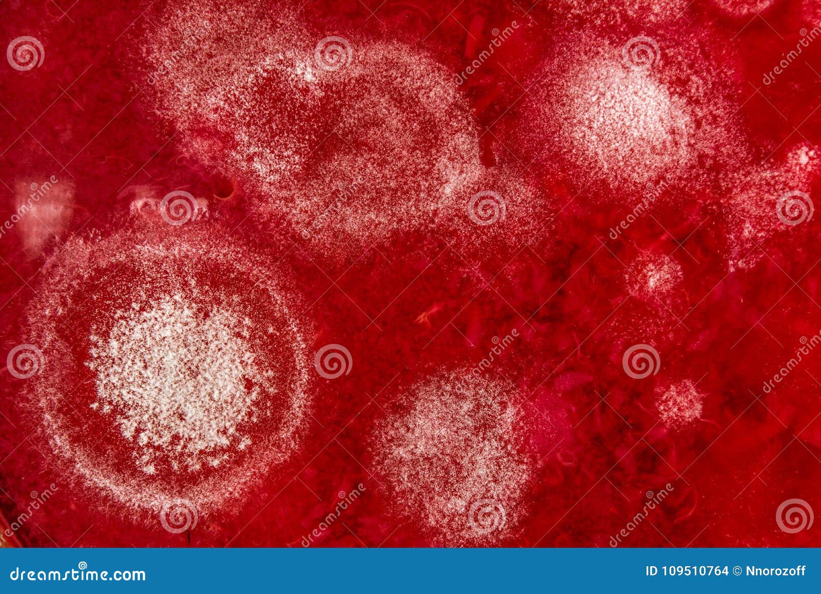 Development of Mold on an Organic Basis, Abstract Background Stock ...