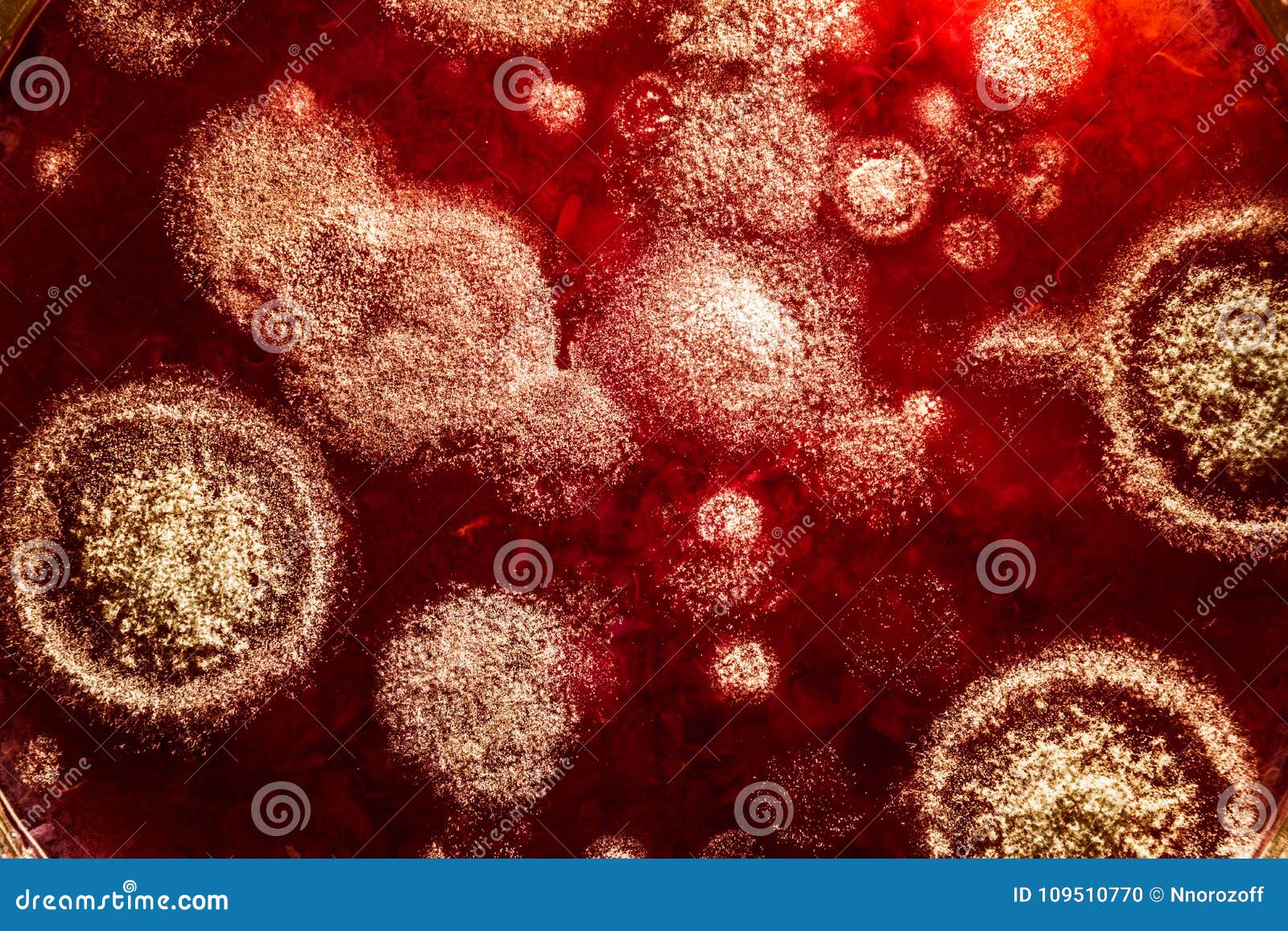 Development of Mold on an Organic Basis, Abstract Background Stock ...