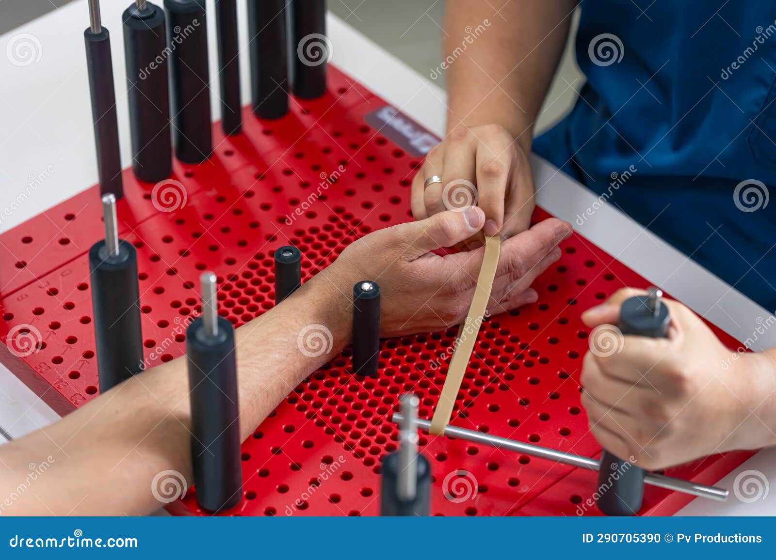 Development of Movements of the Radial Wrist Joint on a Functional ...