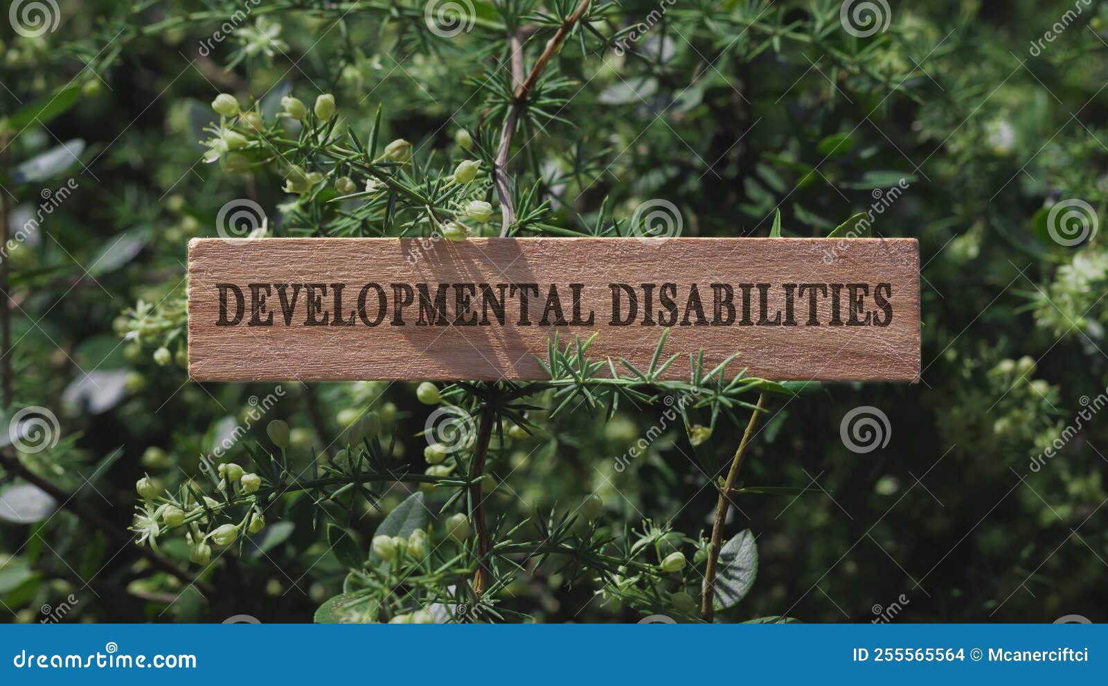 Developmental Disabilities are Written on the Surface. Wooden Man and ...