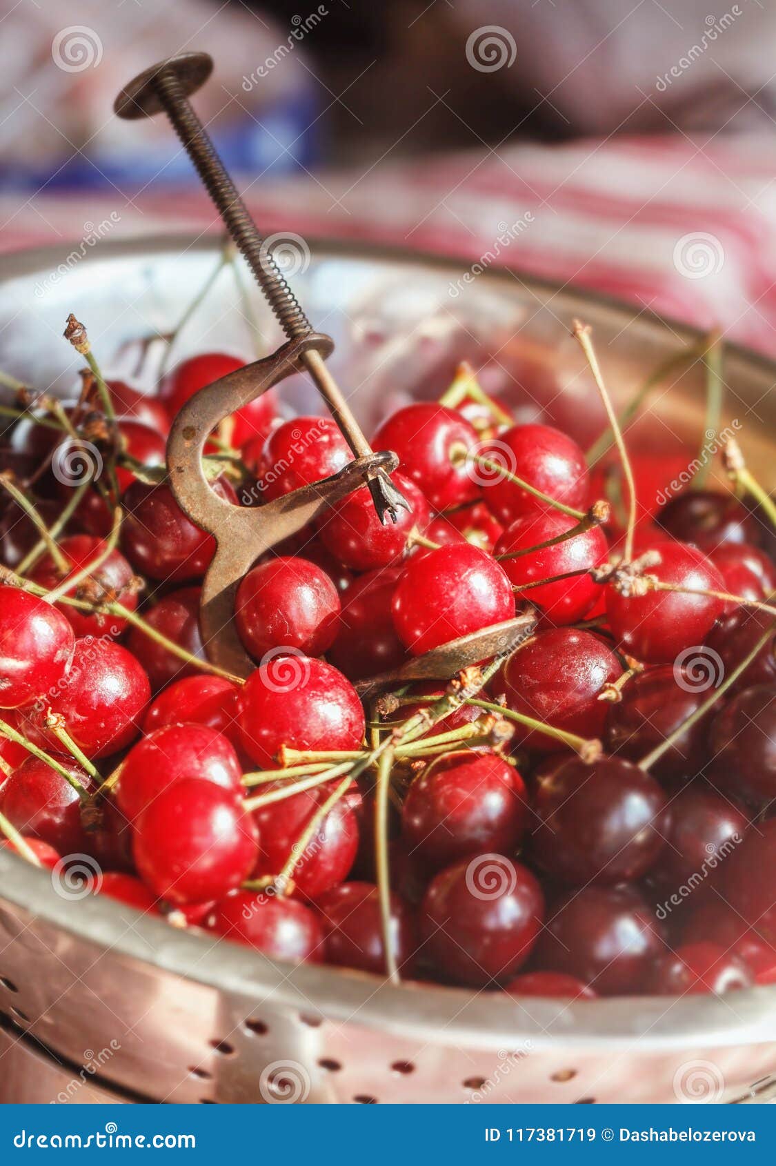 Device for Cherry Bone Brushing Stock Image - Image of design, metal ...