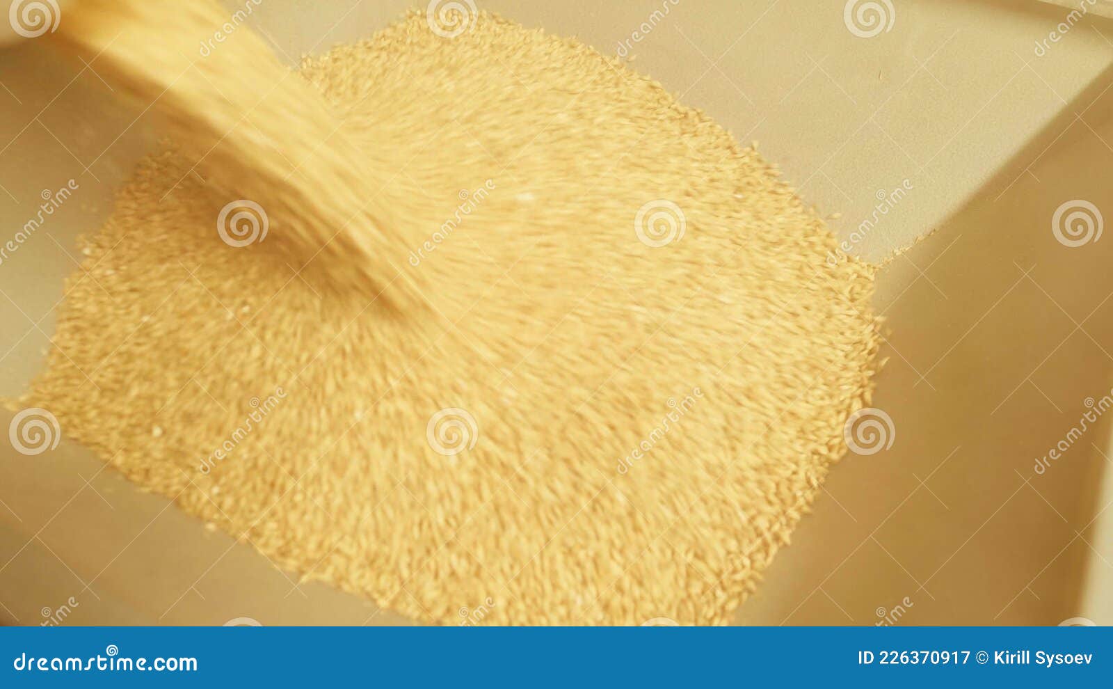 Automatic Machine for Crushing Malt into Powder Stock Video - Video of ...