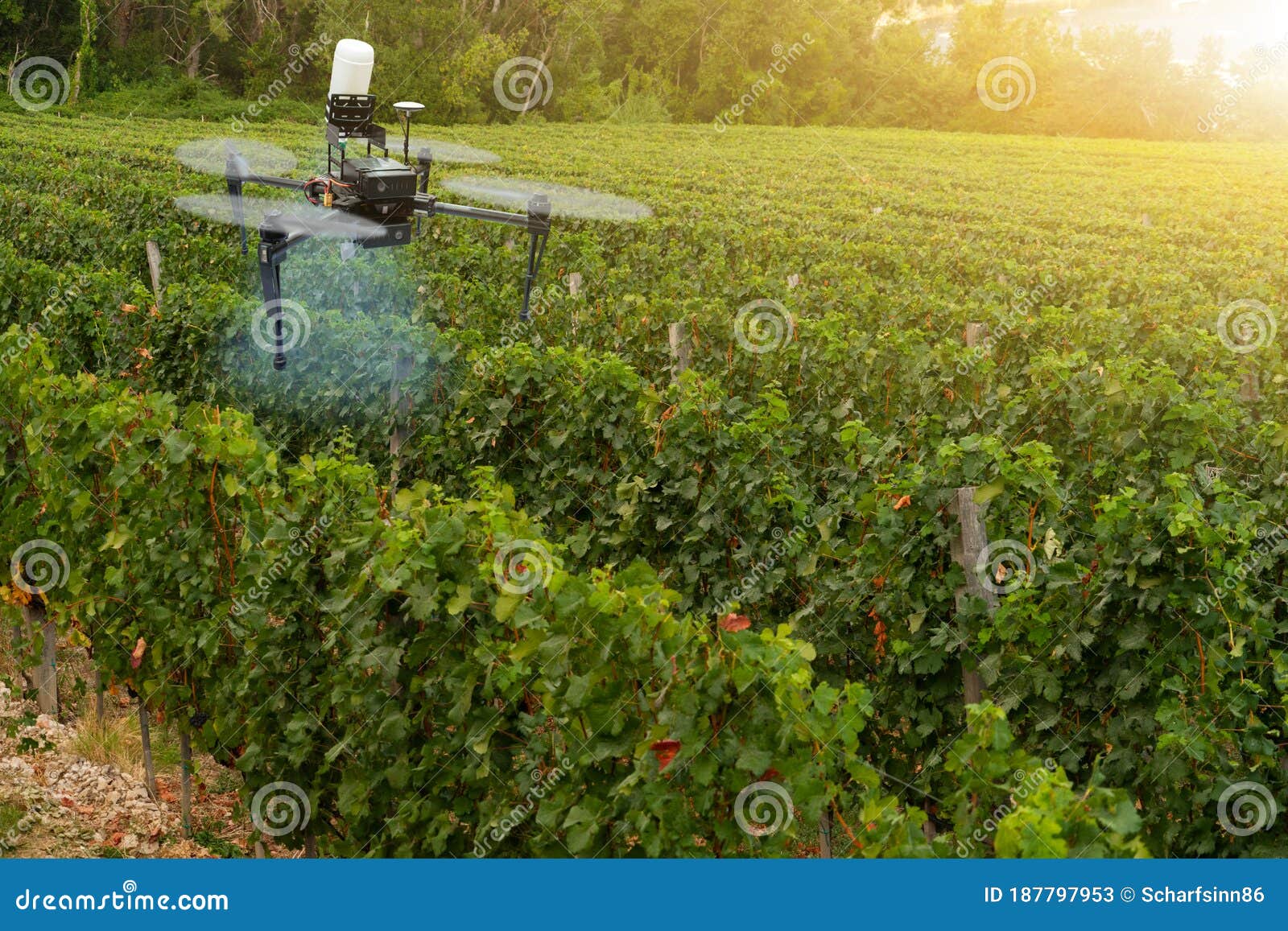 Device for Measuring Field Area Stock Image - Image of smart, phone ...