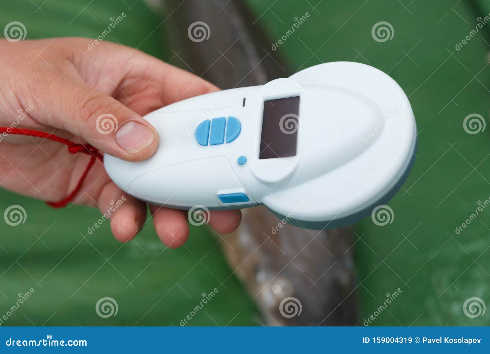 A Device for Measuring Fish Stock Image - Image of diet, fish: 159004319