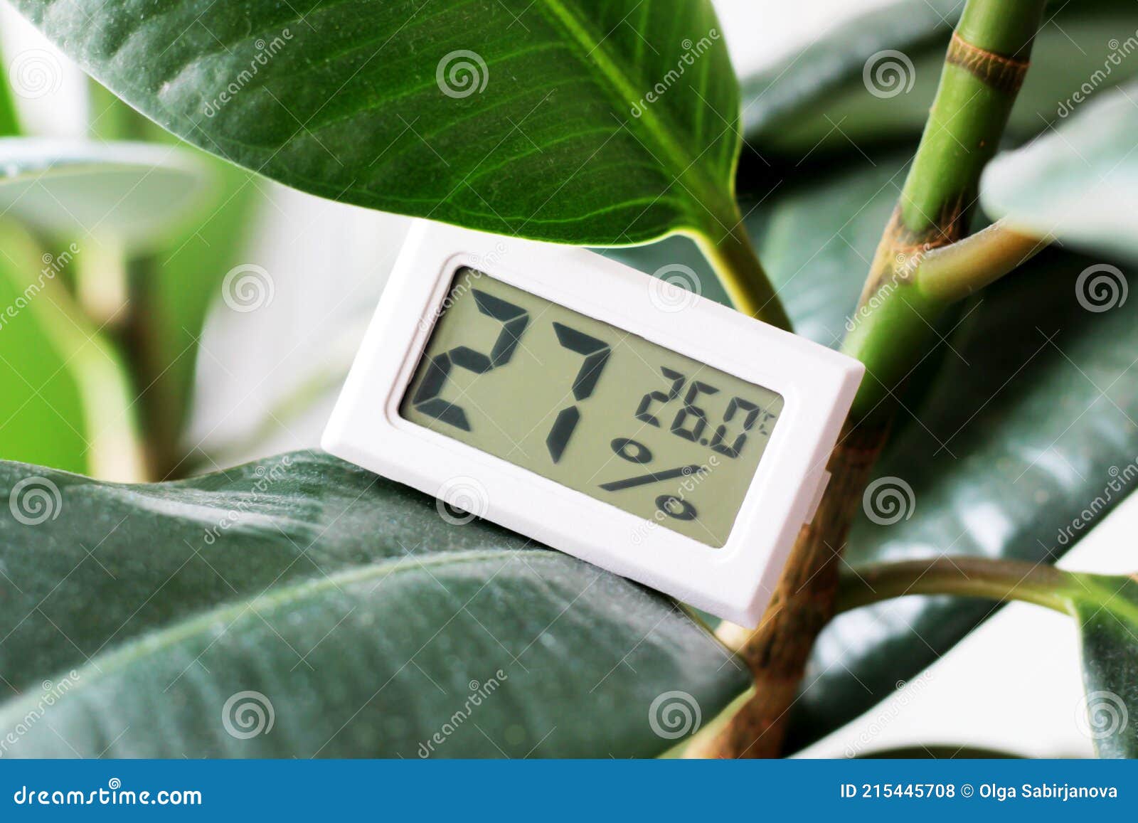 A Device for Measuring Humidity and Temperature and a Plant Stock Photo ...