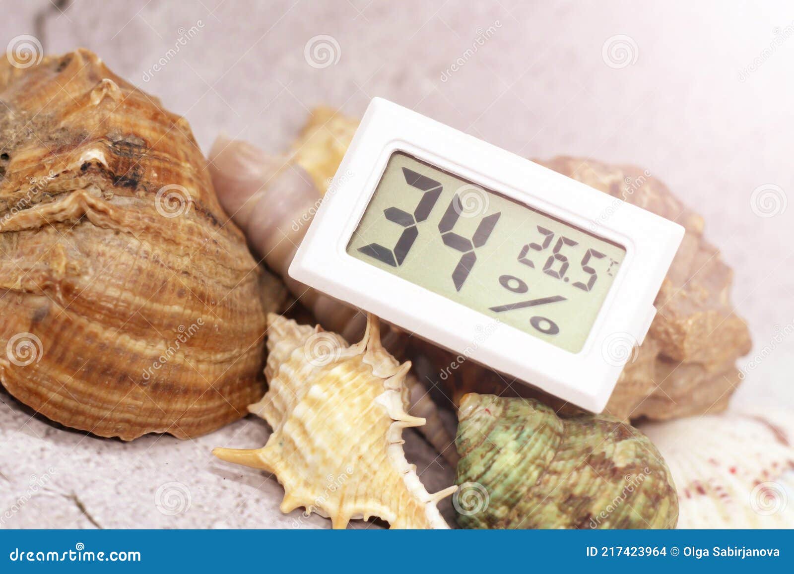 Device for Measuring Humidity and Temperature with Shells, Thermometer ...